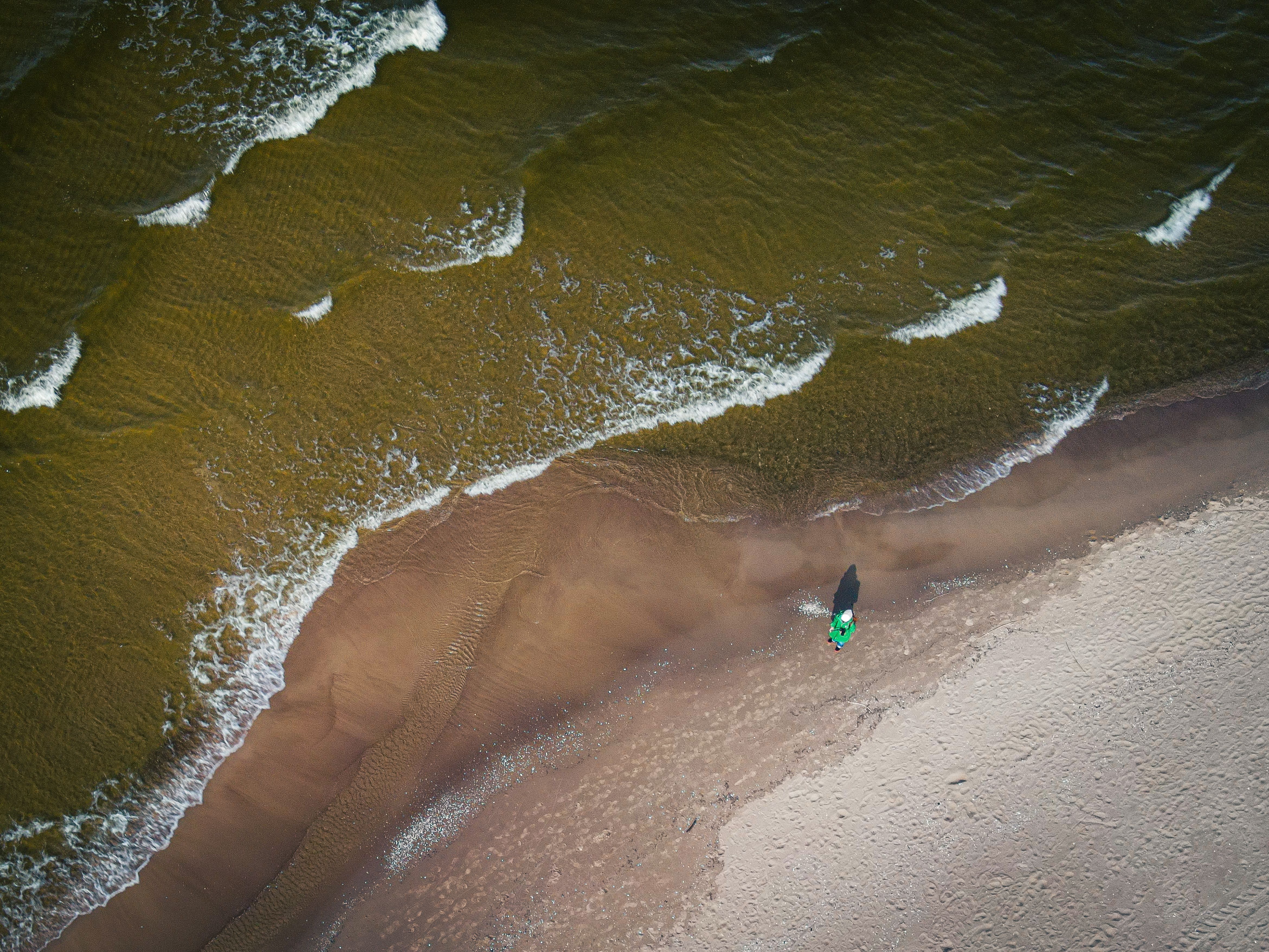 Aerial View of a Lone Beach Walker by Ocean Waves · Free Stock Photo