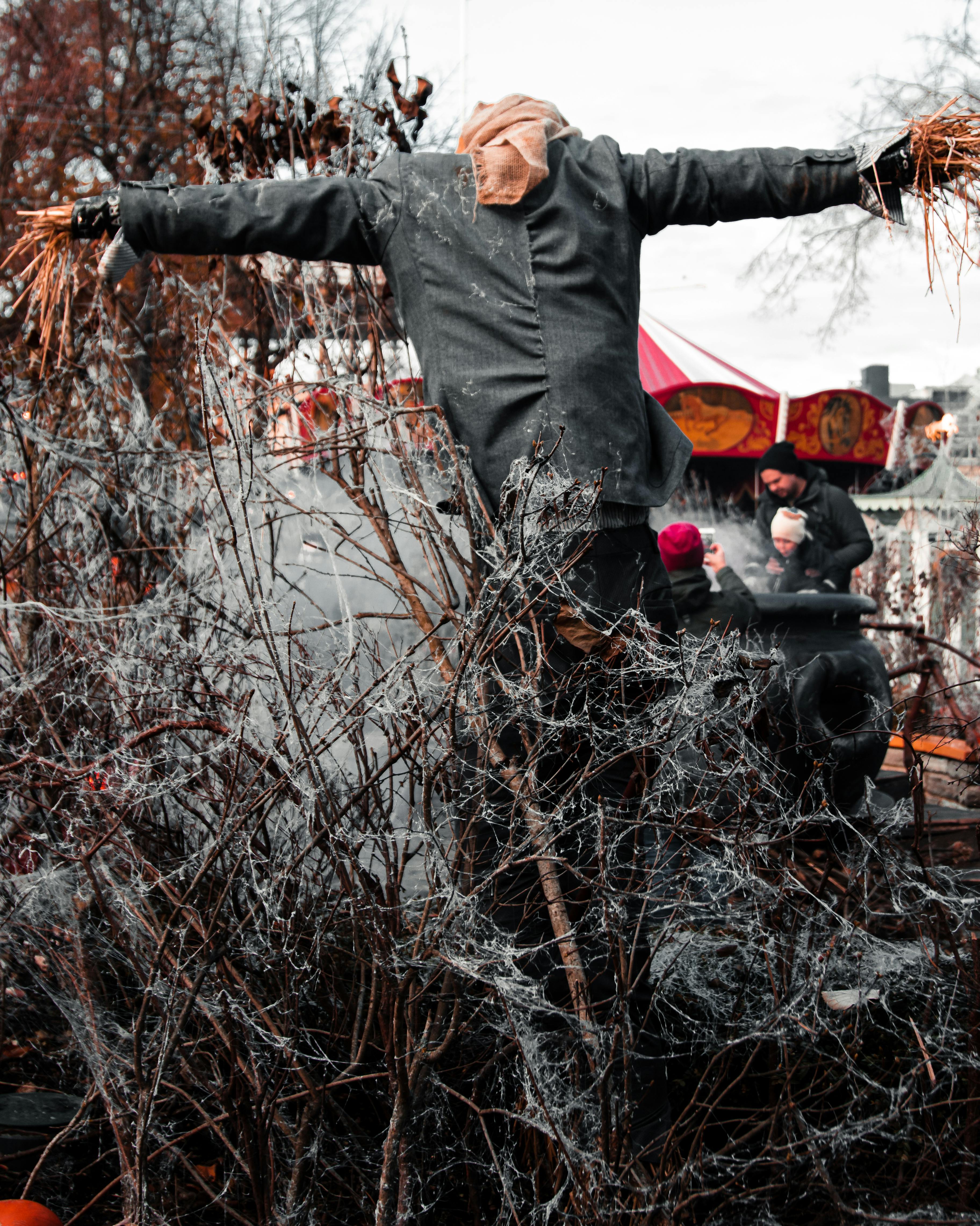 Scarecrow Photos, Download The BEST Free Scarecrow Stock Photos & HD Images