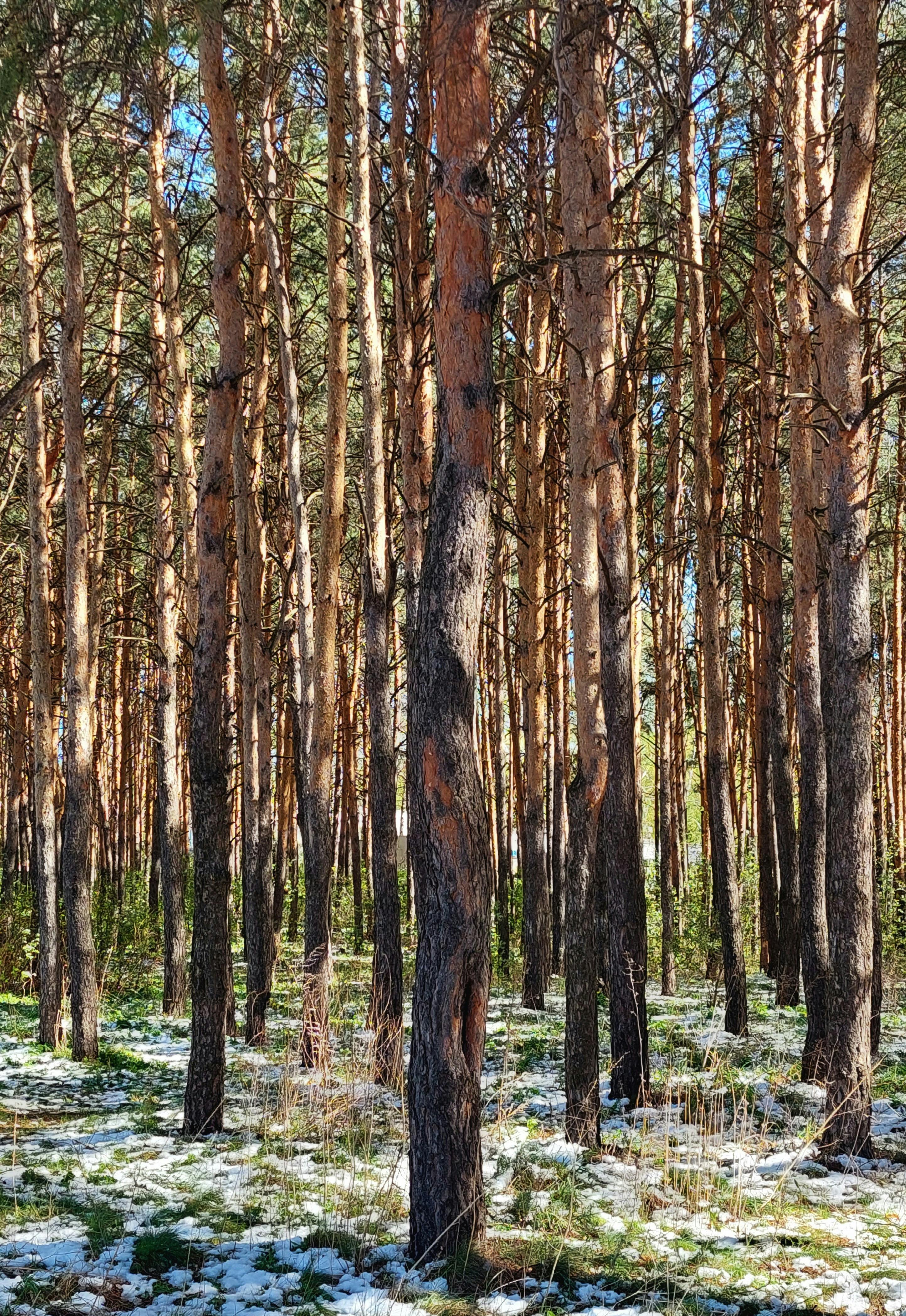 60.000+ Jo+and+judy+wallpaper Bilder und Fotos · Kostenlos Downloaden · Pexels Stock-Fotos