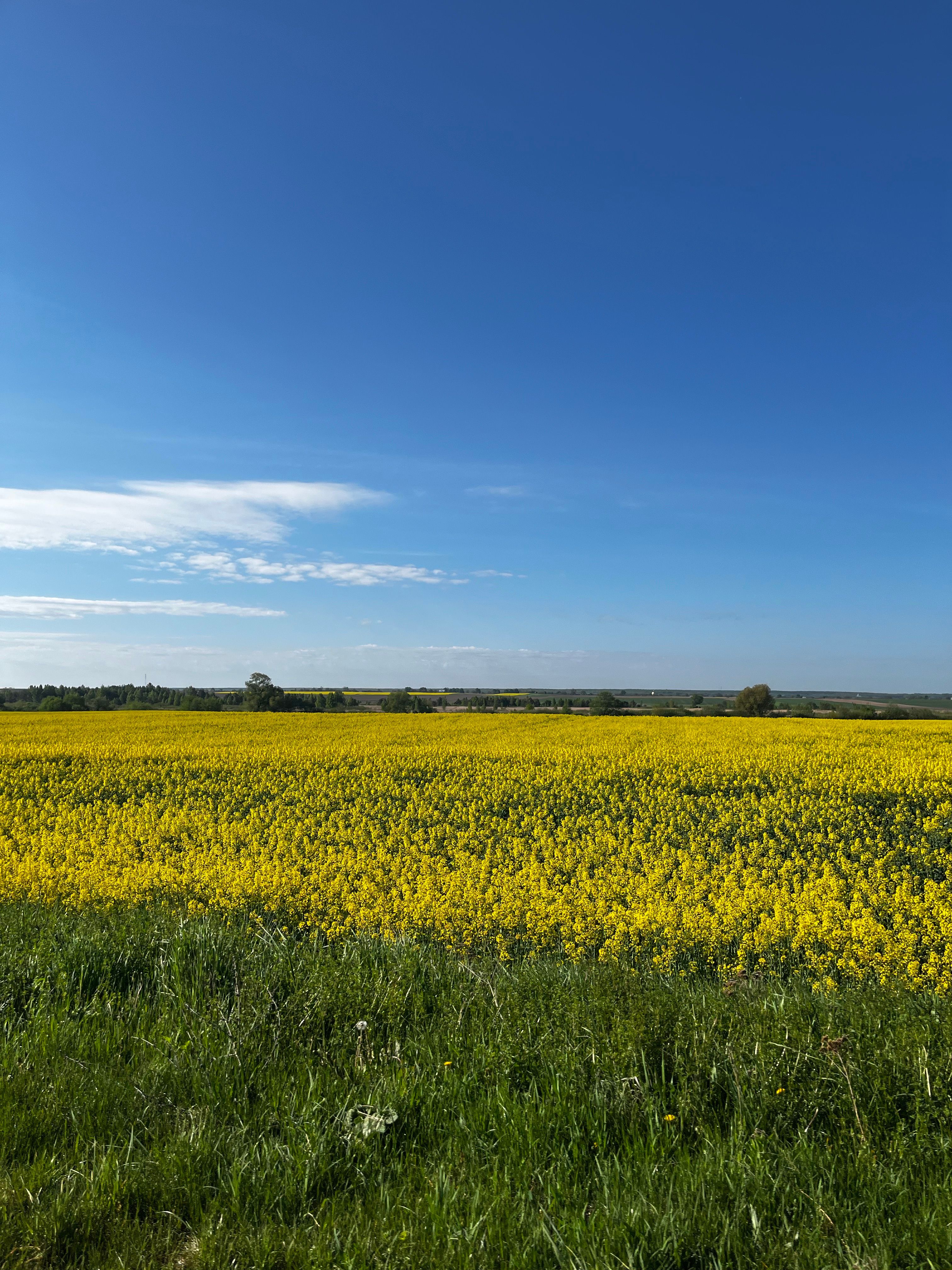 Yeild Crops Photos, Download The BEST Free Yeild Crops Stock Photos ...