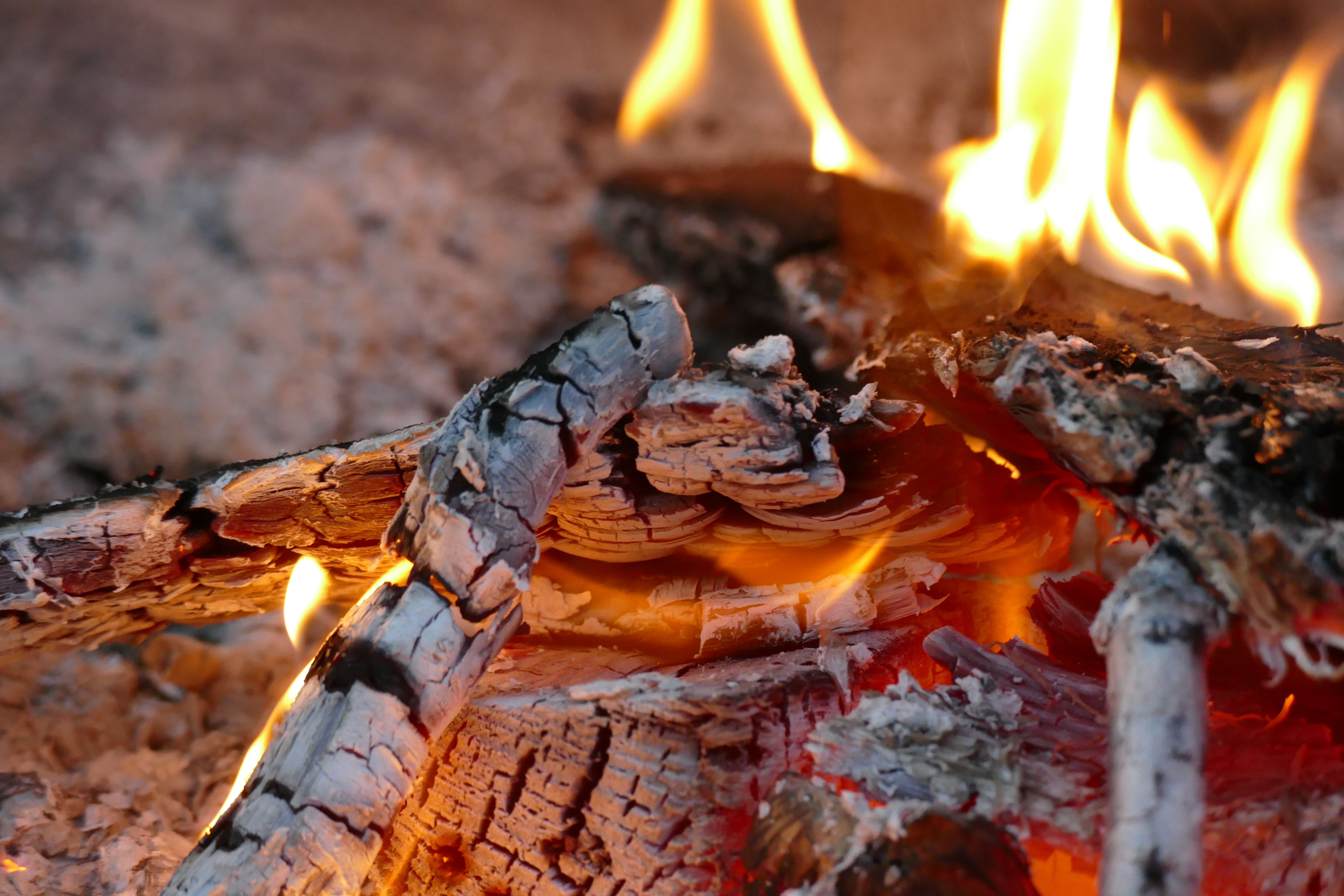 Wood on Fire · Free Stock Photo