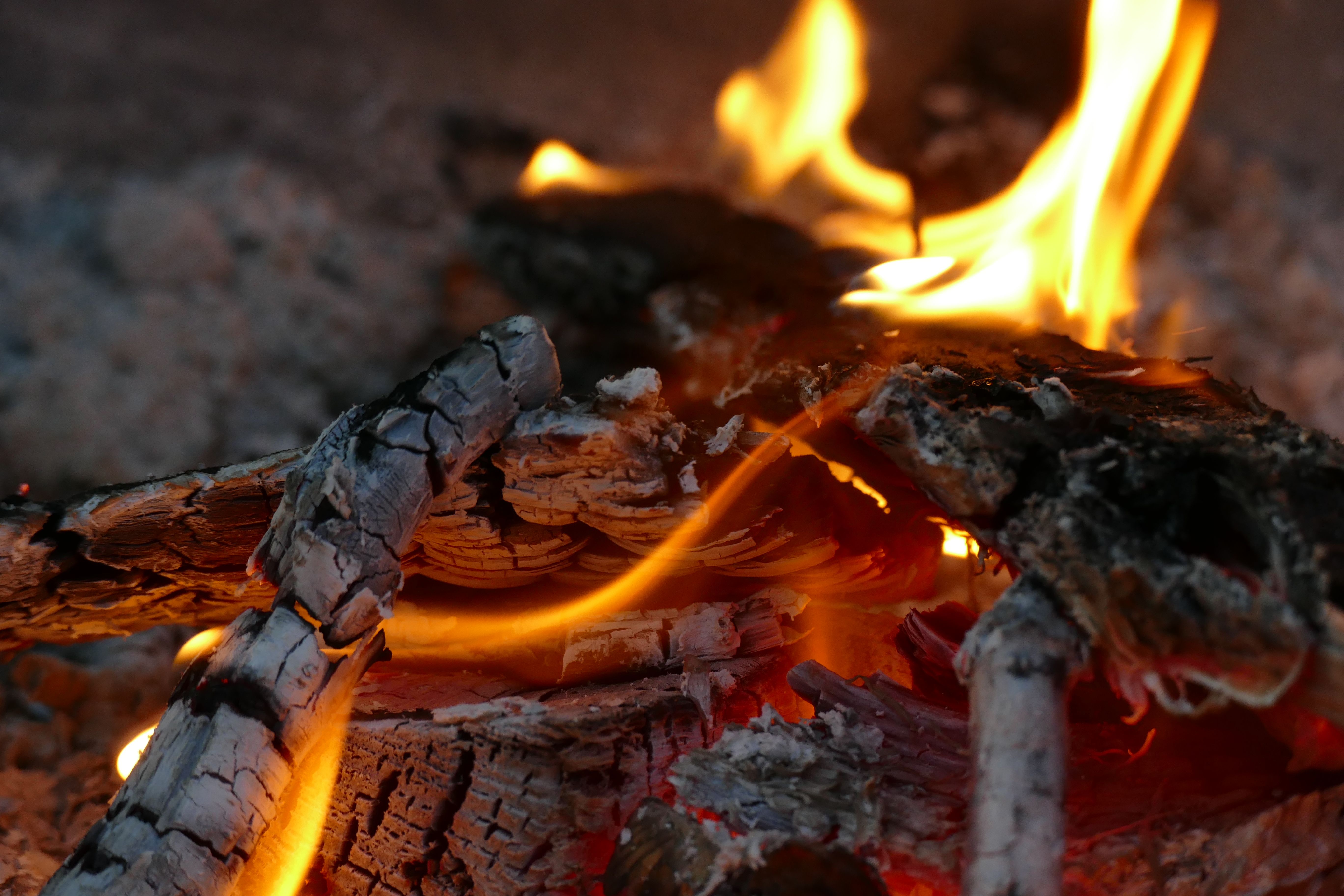 Wood on Fire · Free Stock Photo