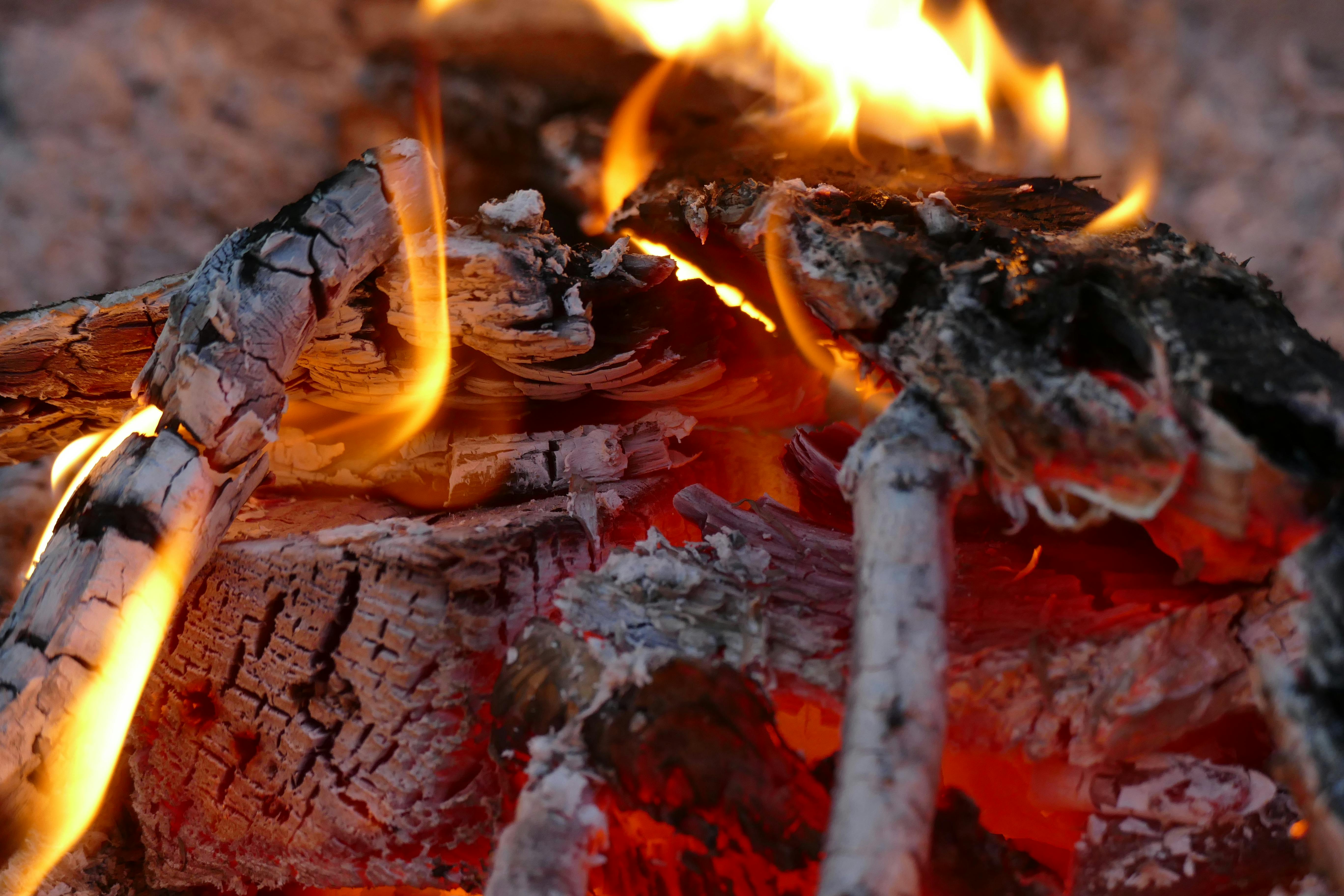 Wildfire Photos, Download The BEST Free Wildfire Stock Photos & HD Images