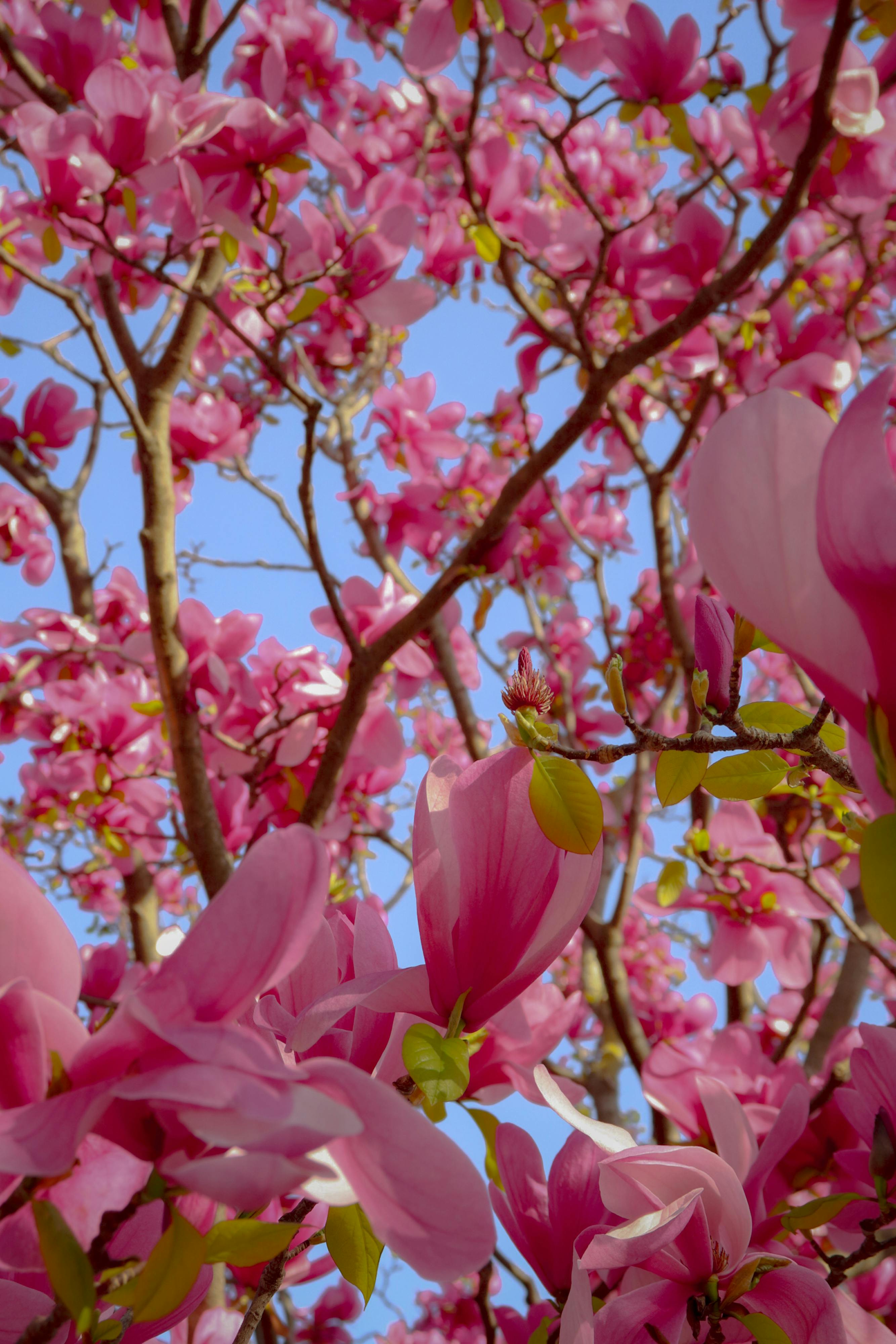 Céline | - Photography