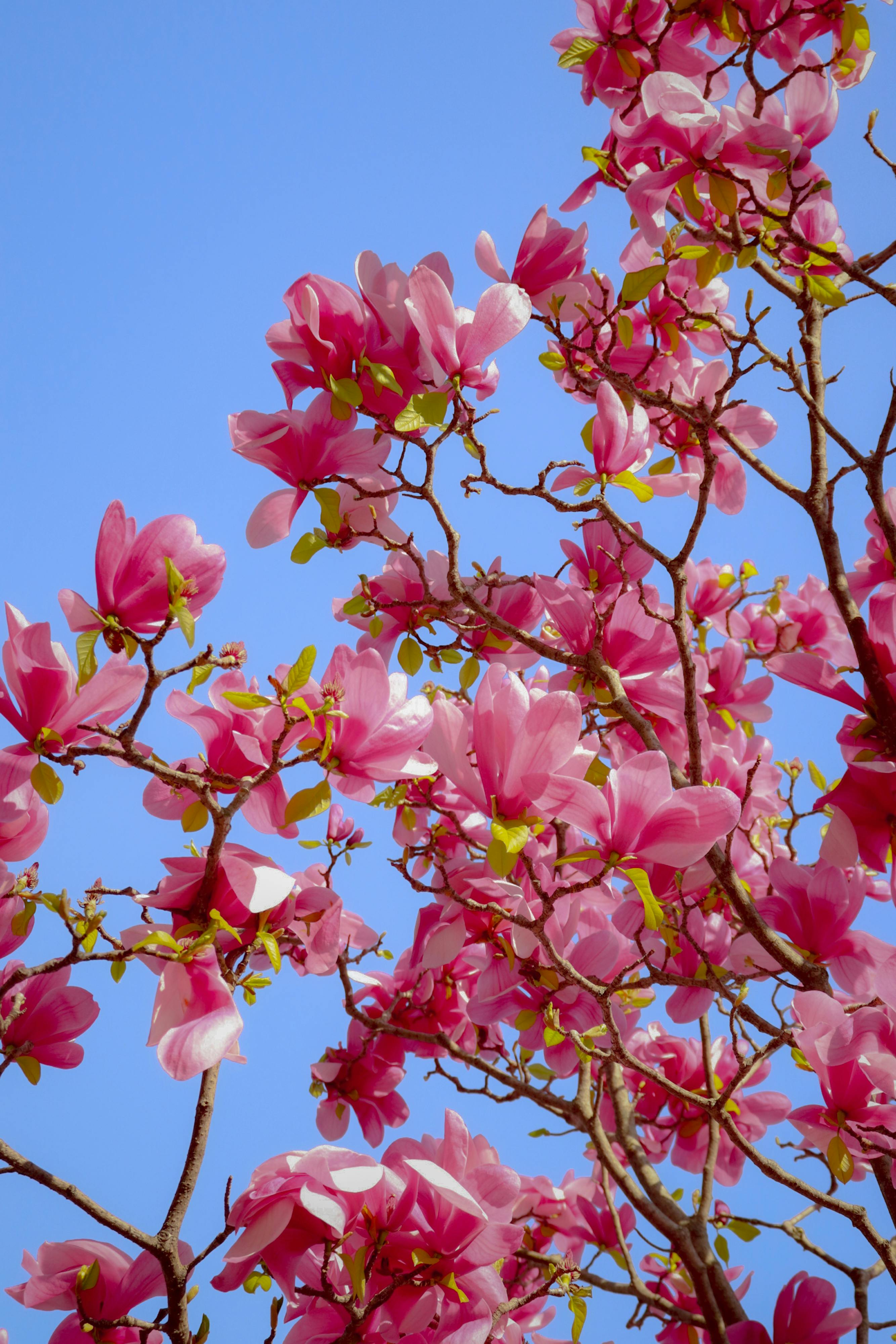 1584 X 396 Photos, Download The BEST Free 1584 X 396 Stock Photos & HD ...