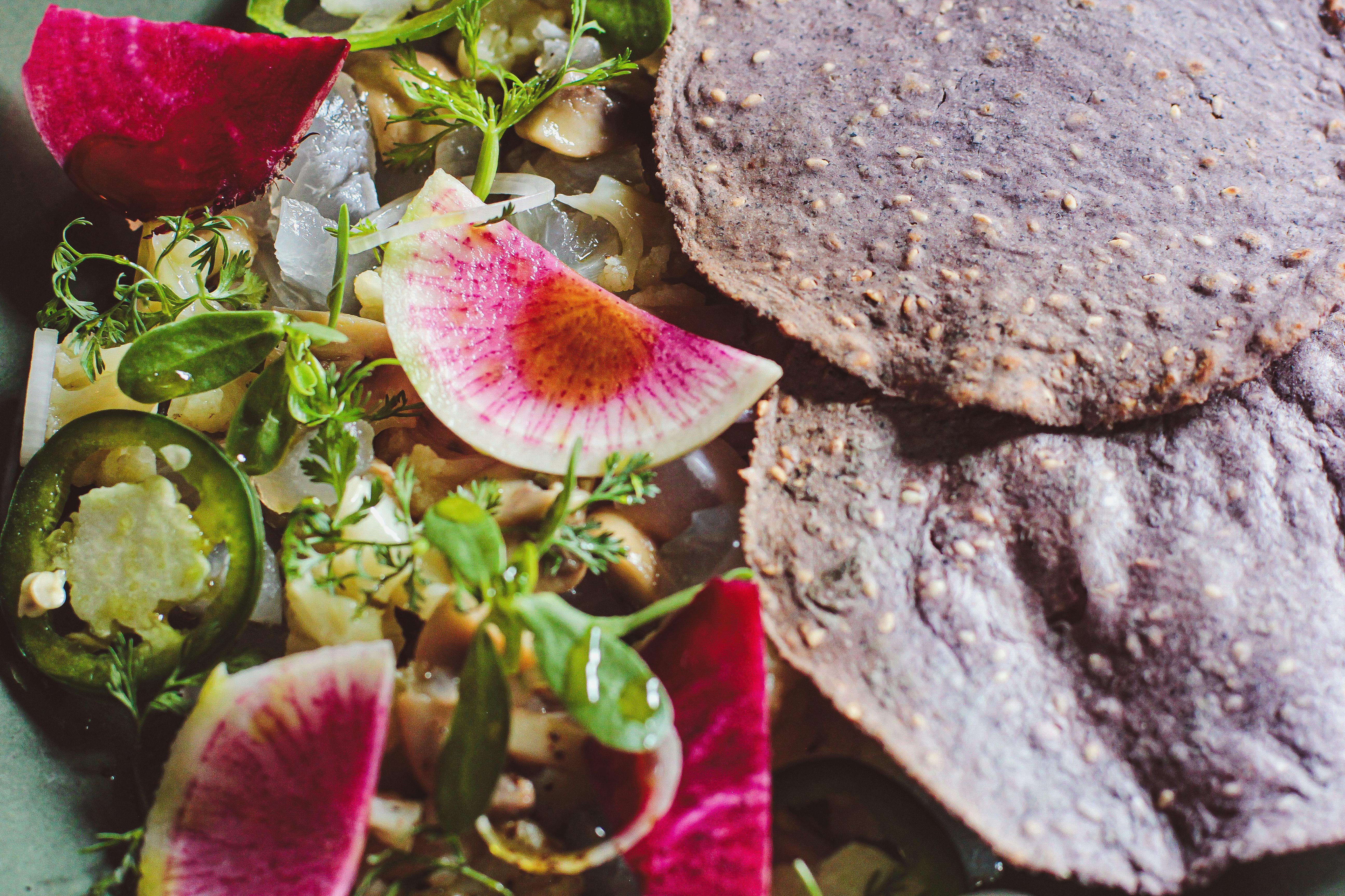 Vibrant Mexican Dish with Blue Corn Tostadas · Free Stock Photo
