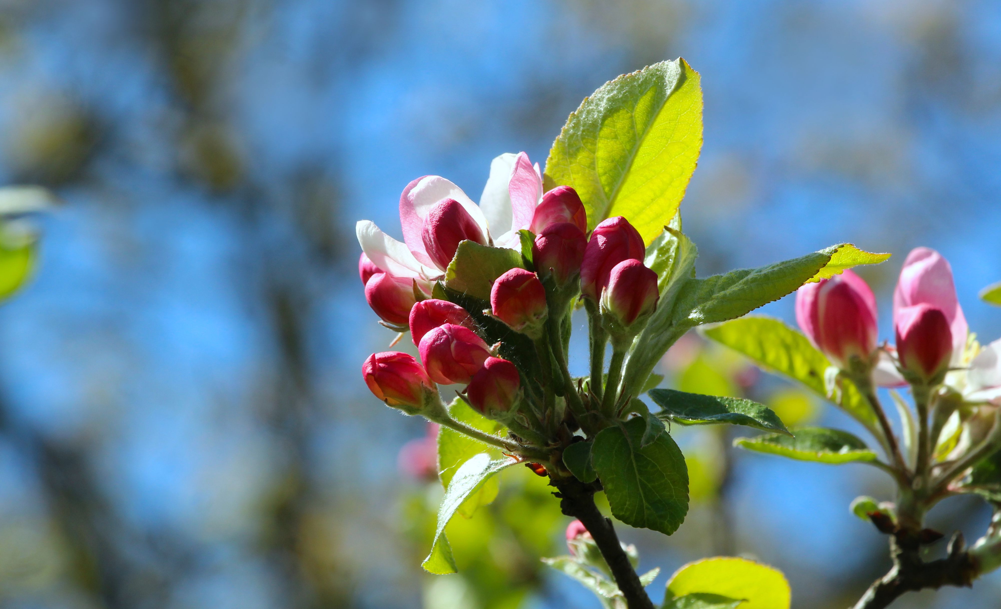 New Beginnings Photos, Download The BEST Free New Beginnings Stock ...
