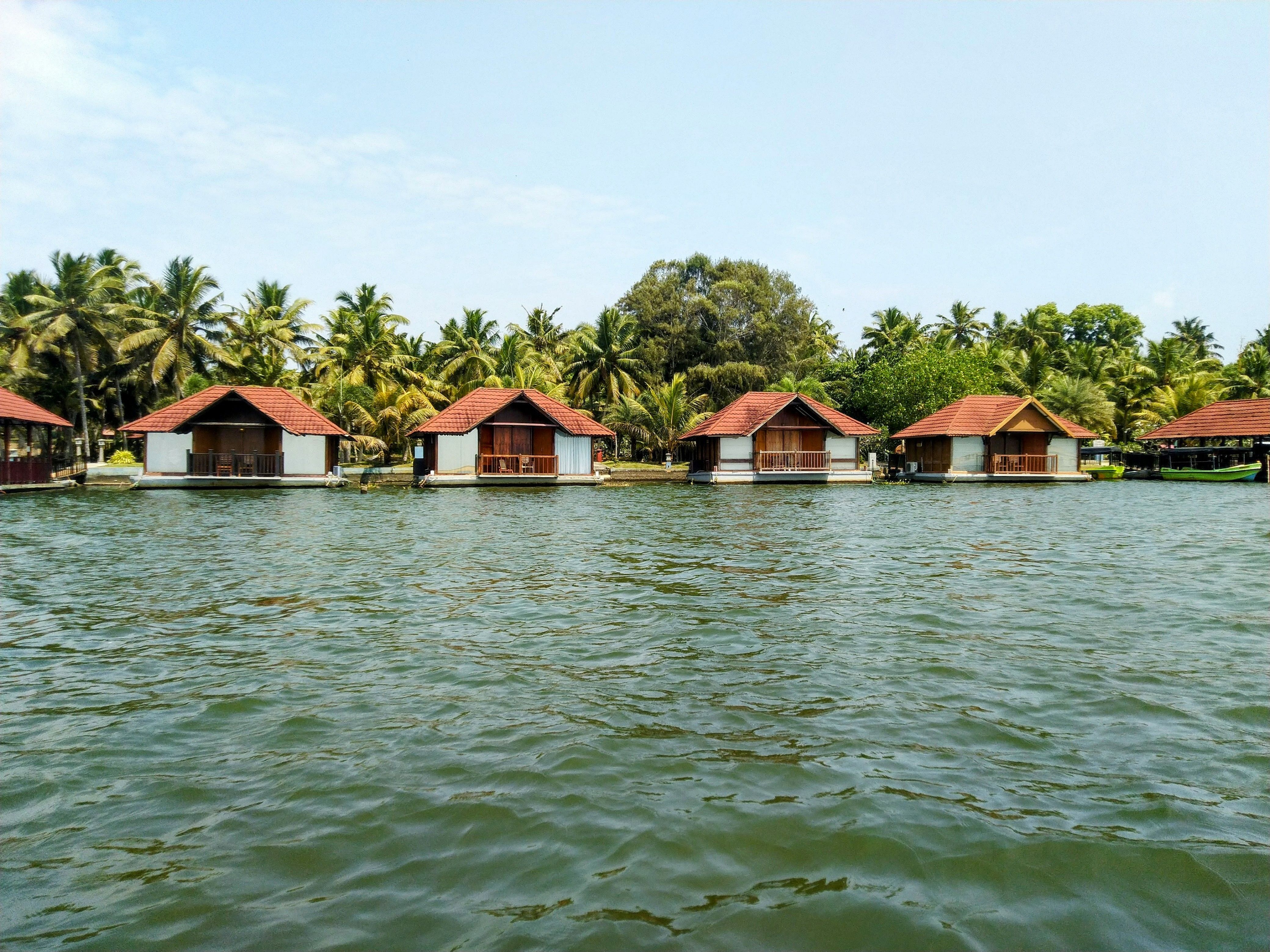 Kerala Parota Photos, Download The BEST Free Kerala Parota Stock Photos ...
