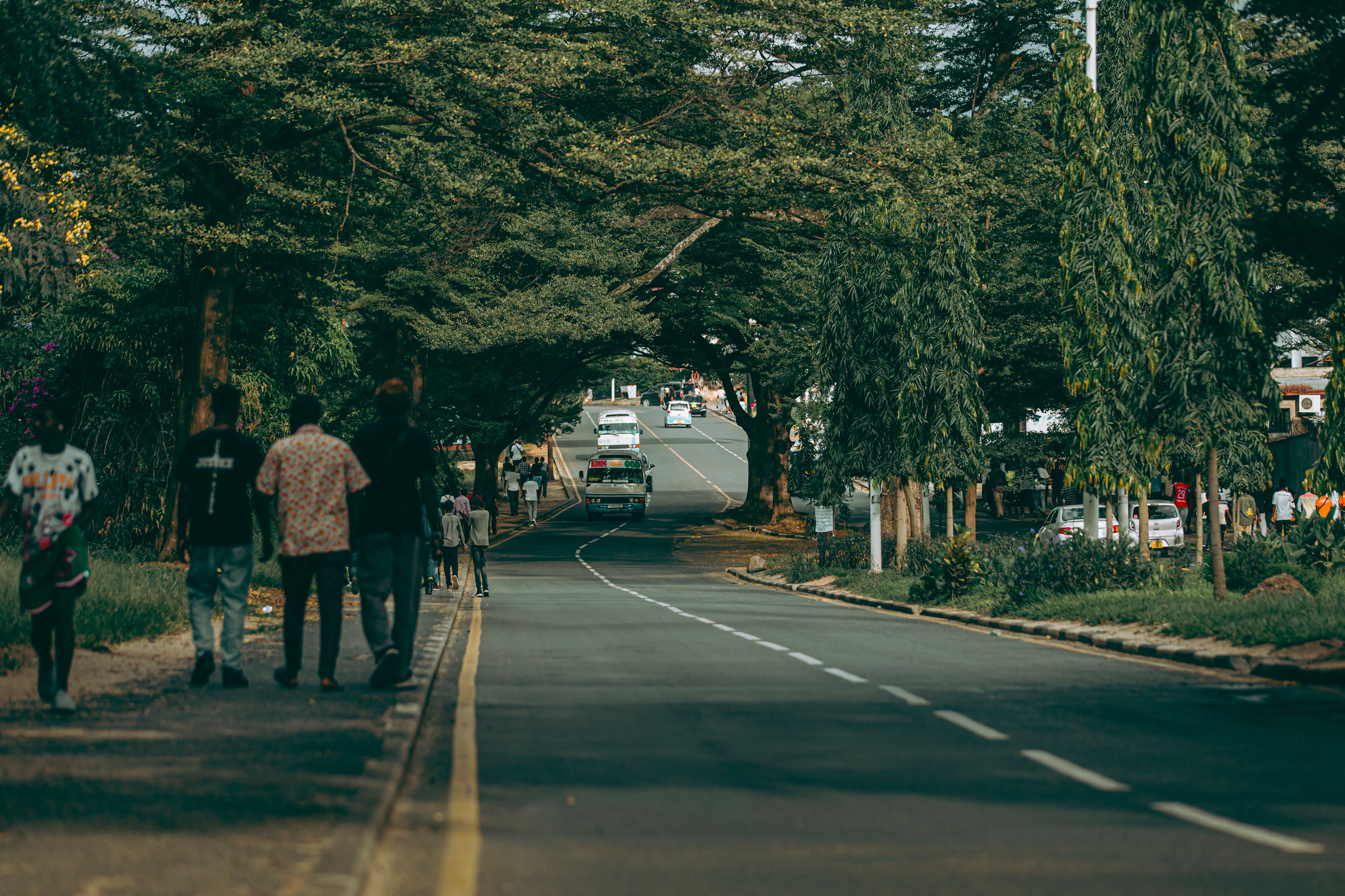 Urban Street Scene with Trees and People Walking · Free Stock Photo