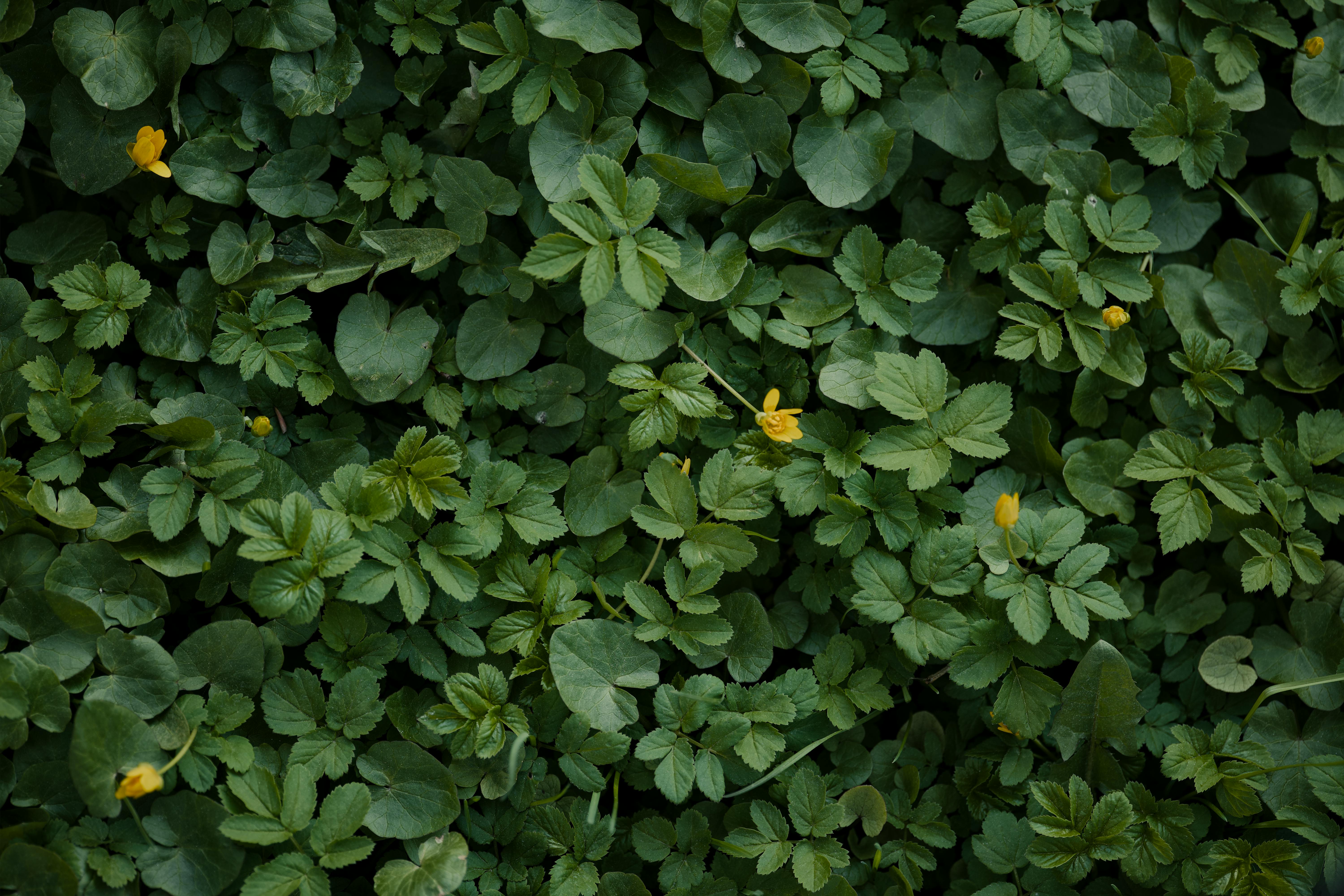 Navbar Background Photos, Download The BEST Free Navbar Background ...