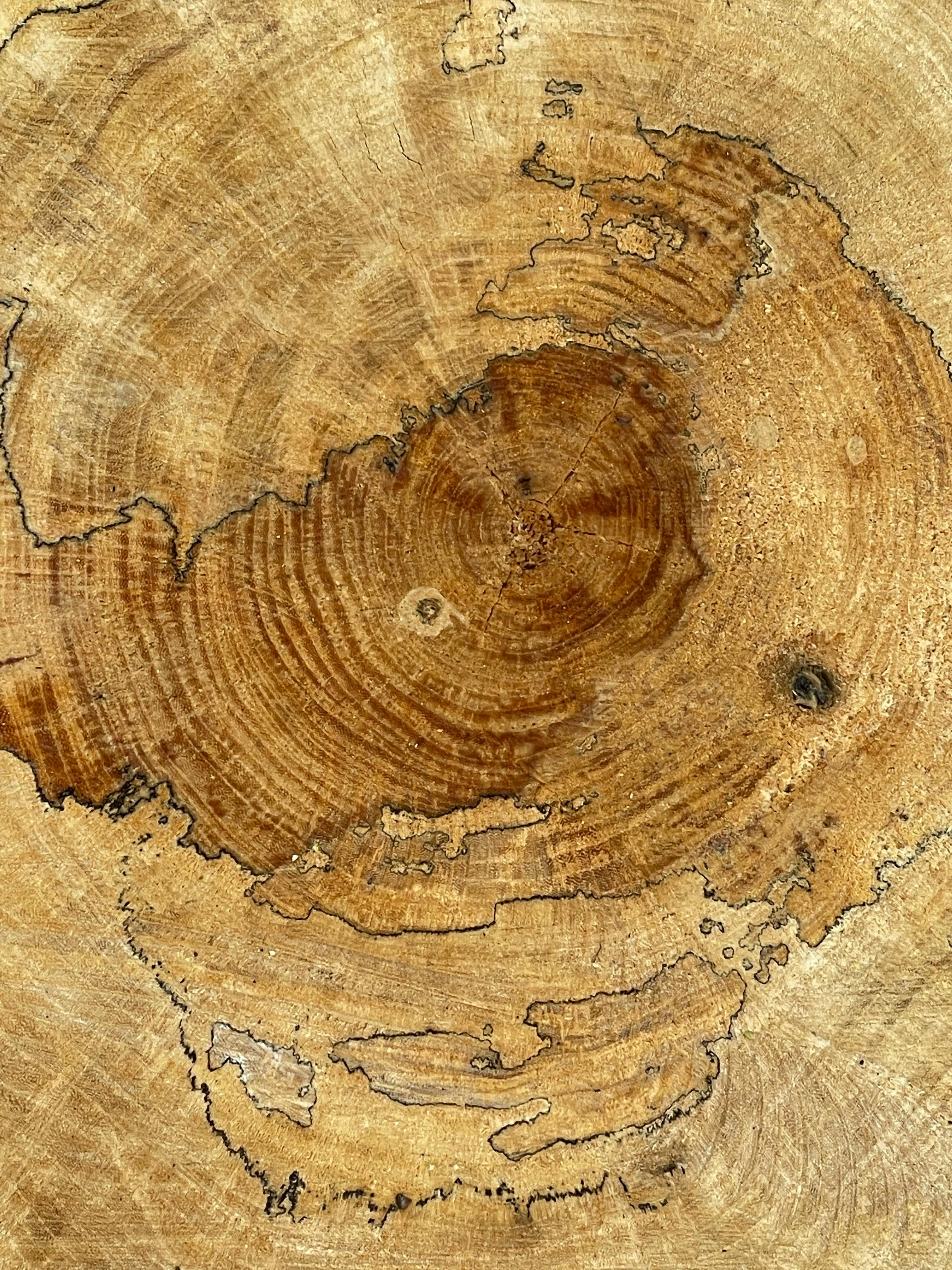 459 Year Old Photos, Download The BEST Free 459 Year Old Stock Photos ...