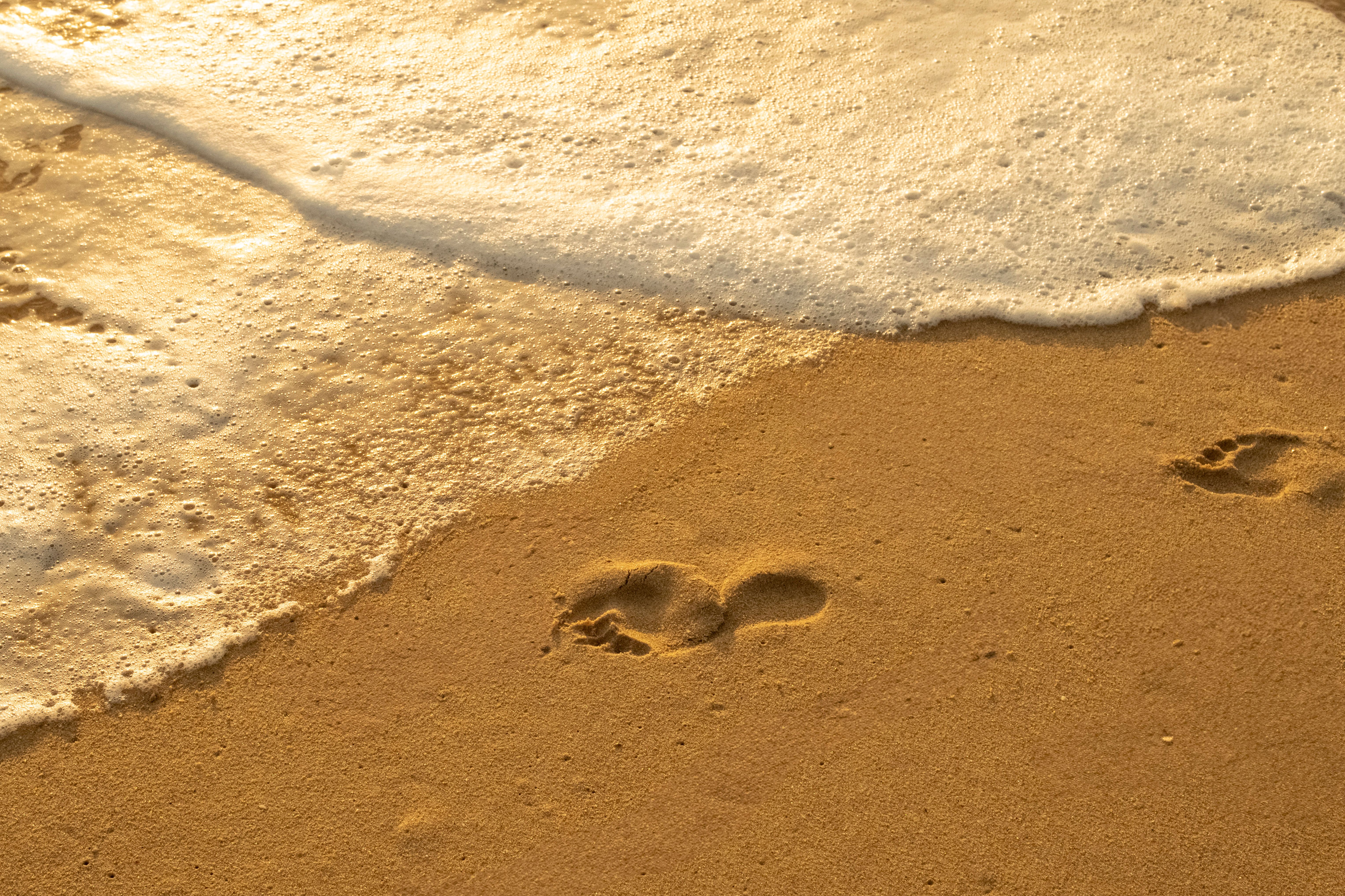 Footprints in Golden Sand by the Ocean Shore · Free Stock Photo