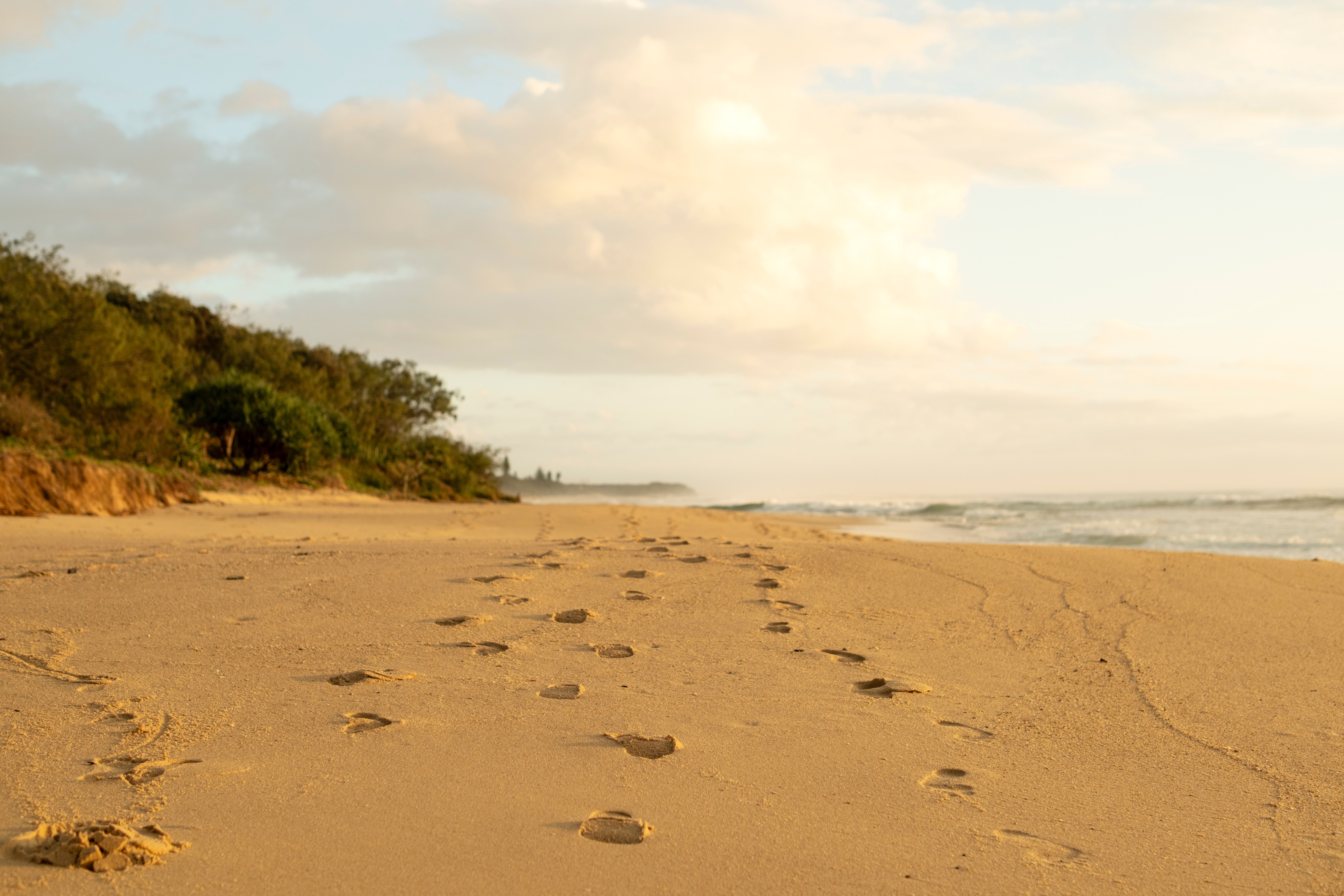 Golden Sands Beach on Sunshine Coast at Sunrise · Free Stock Photo