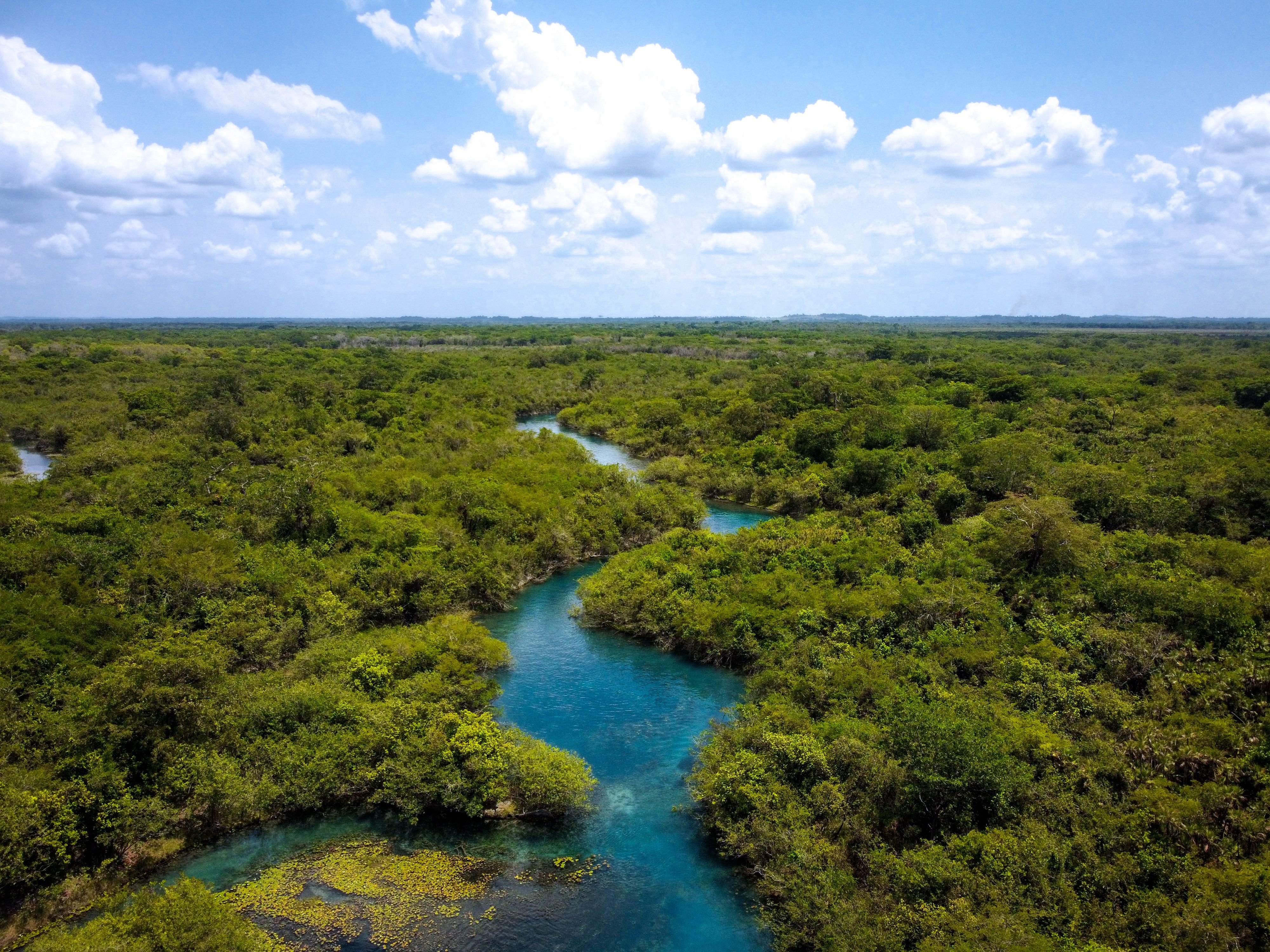 Aerial View of River and Lush Greenery in Guatemala · Free Stock Photo