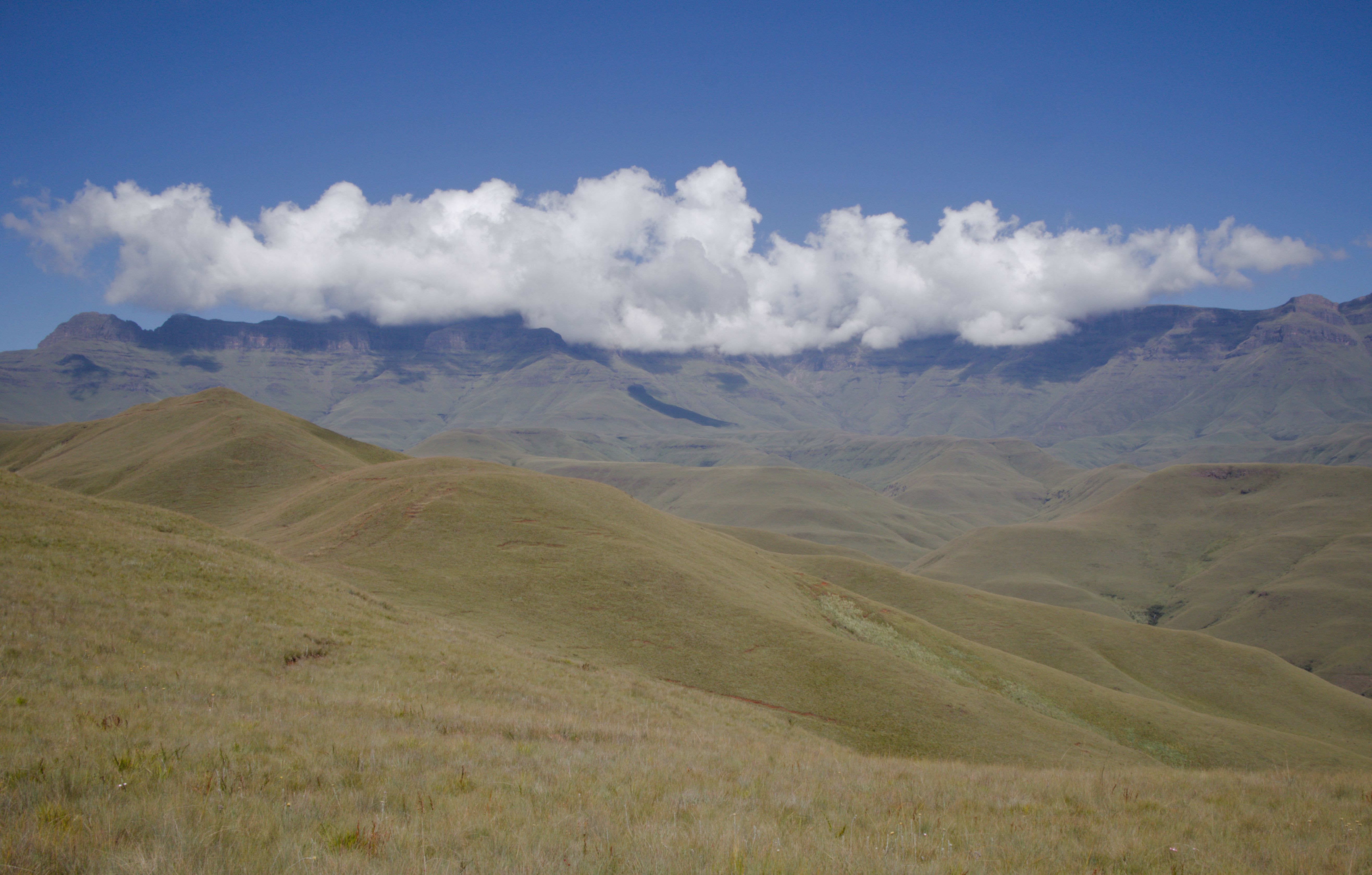 Breathtaking Grass Fields of Drakensberg Mountains · Free Stock Photo