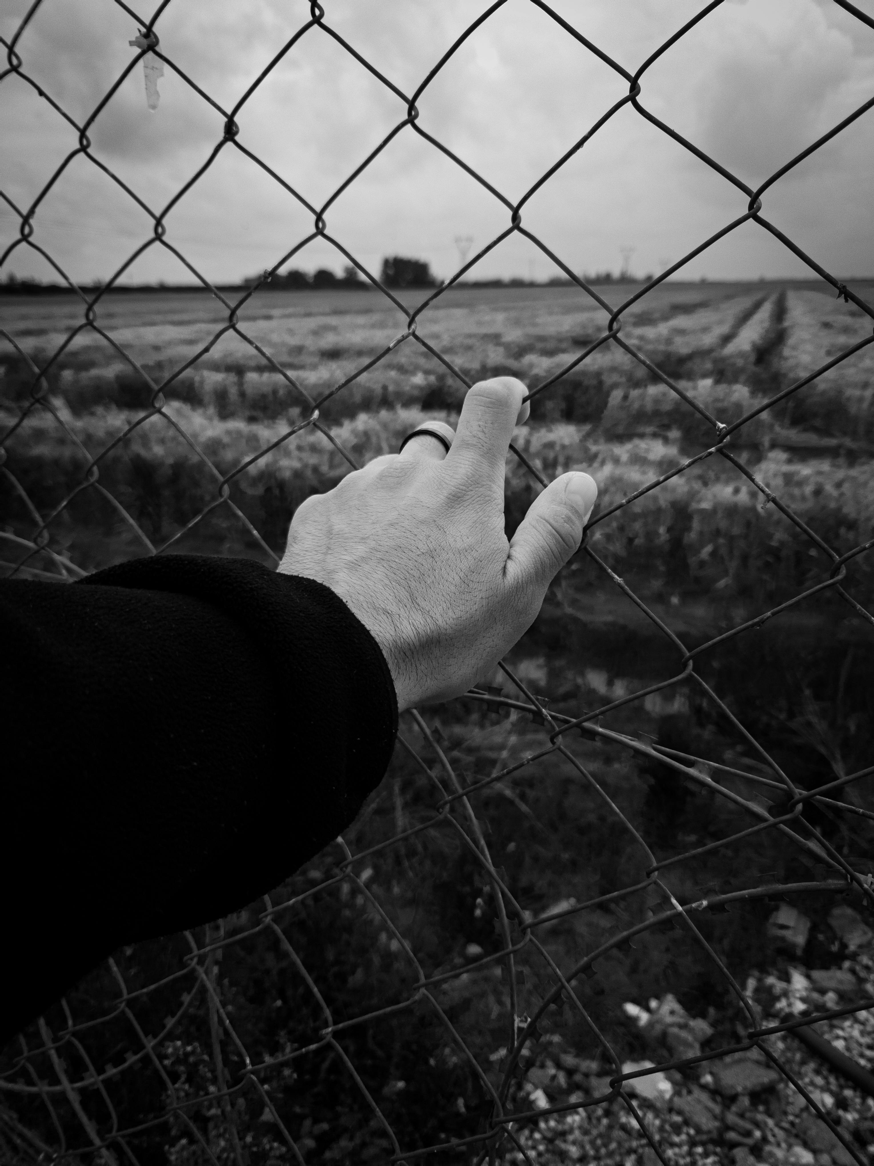 Hand Touching Chain Link Fence in Black and White · Free Stock Photo