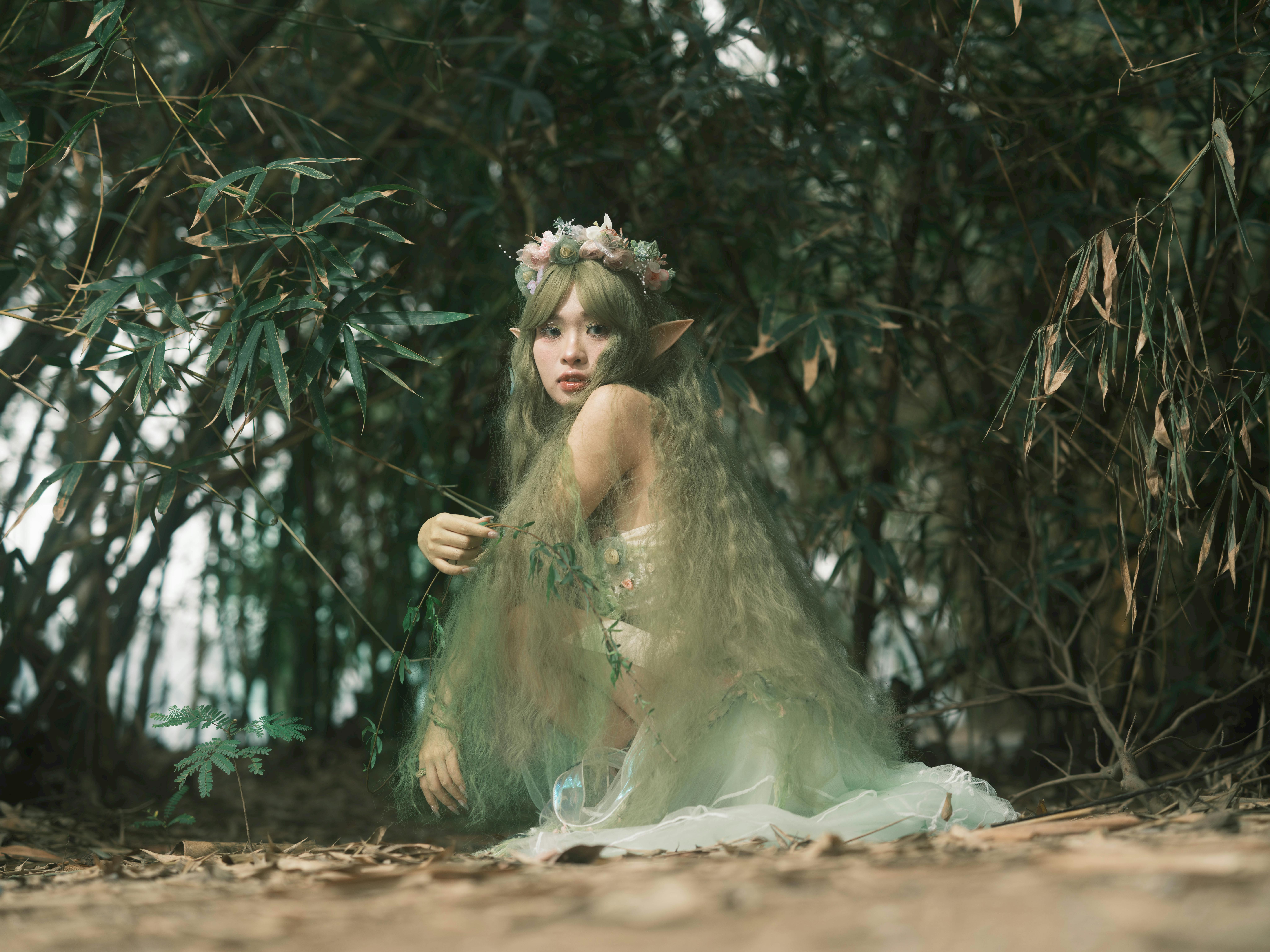 Magical Forest Photos, Download The BEST Free Magical Forest Stock ...