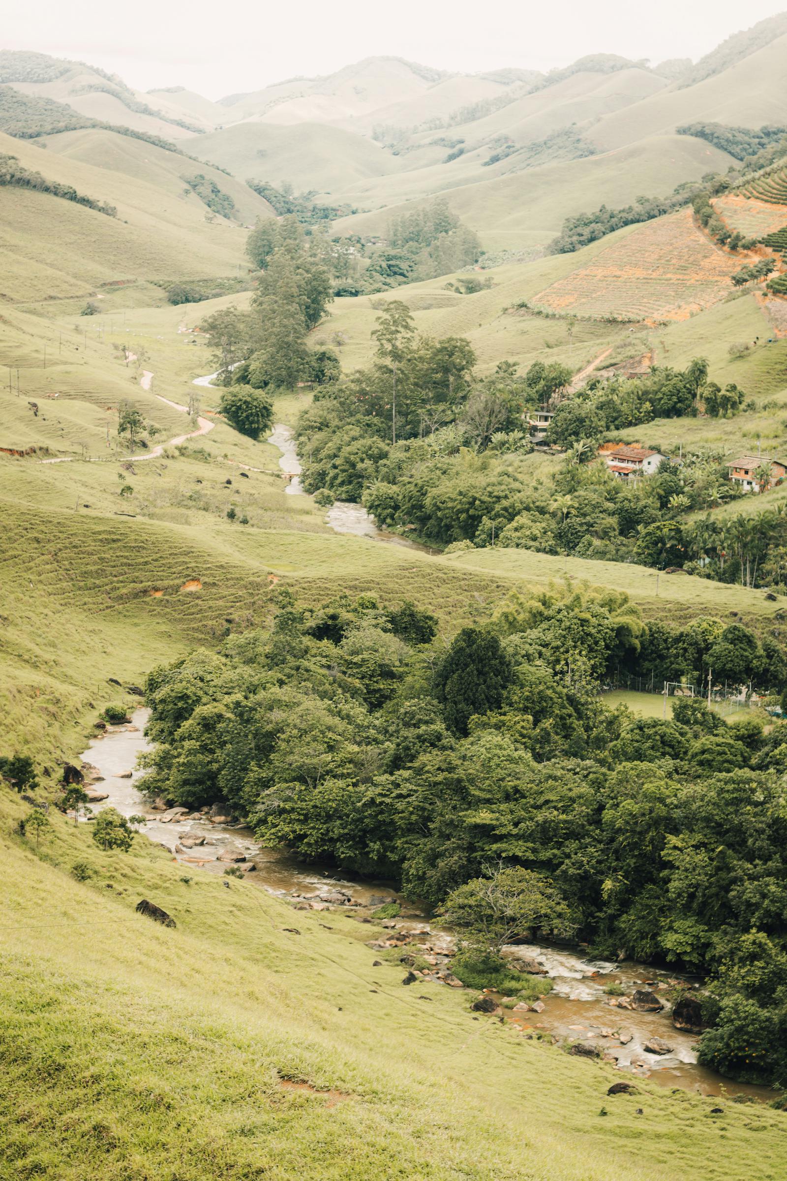 Green Landscape Photos, Download The BEST Free Green Landscape Stock ...