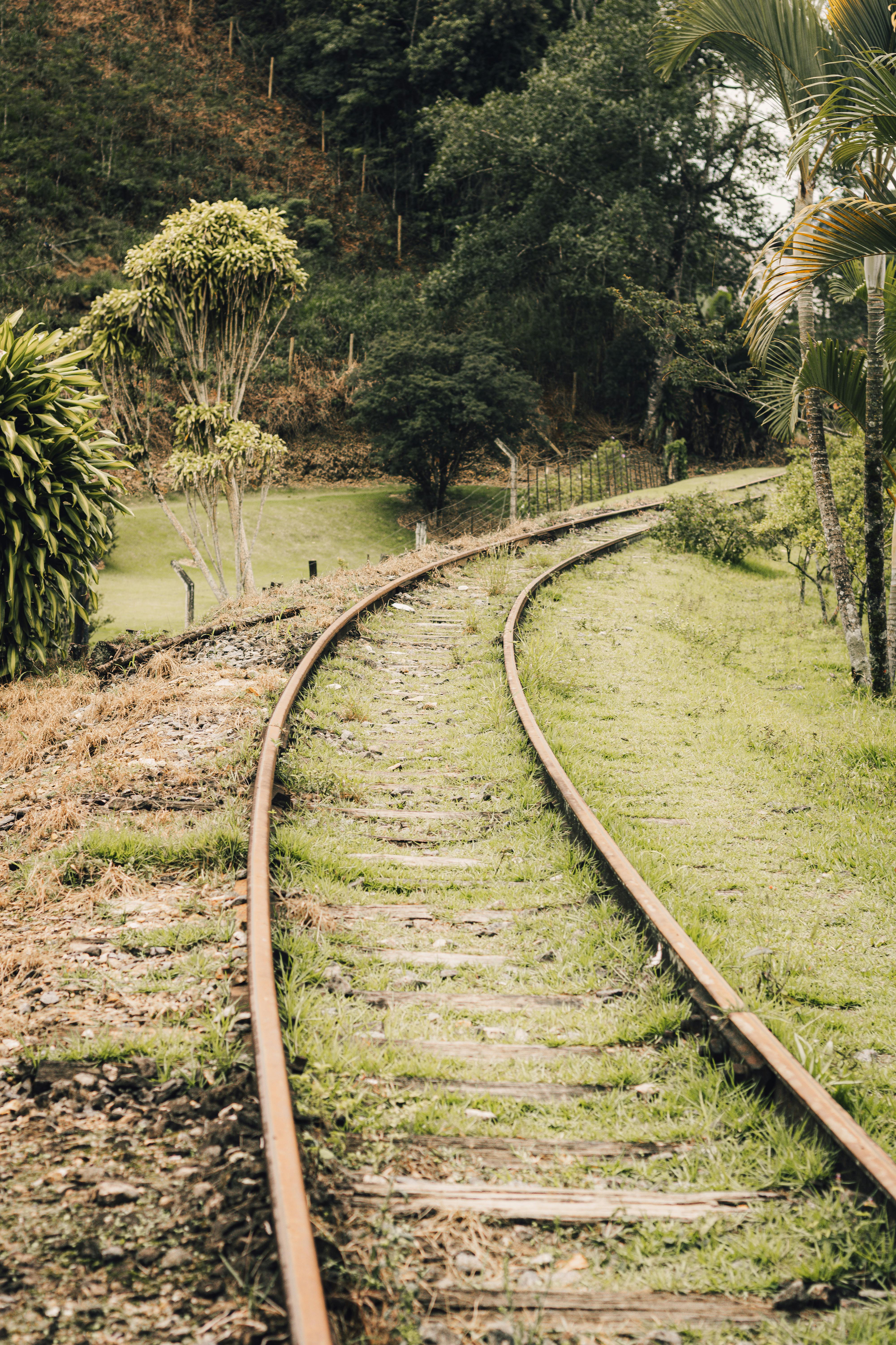 Serene Overgrown Railway Track in Nature · Free Stock Photo