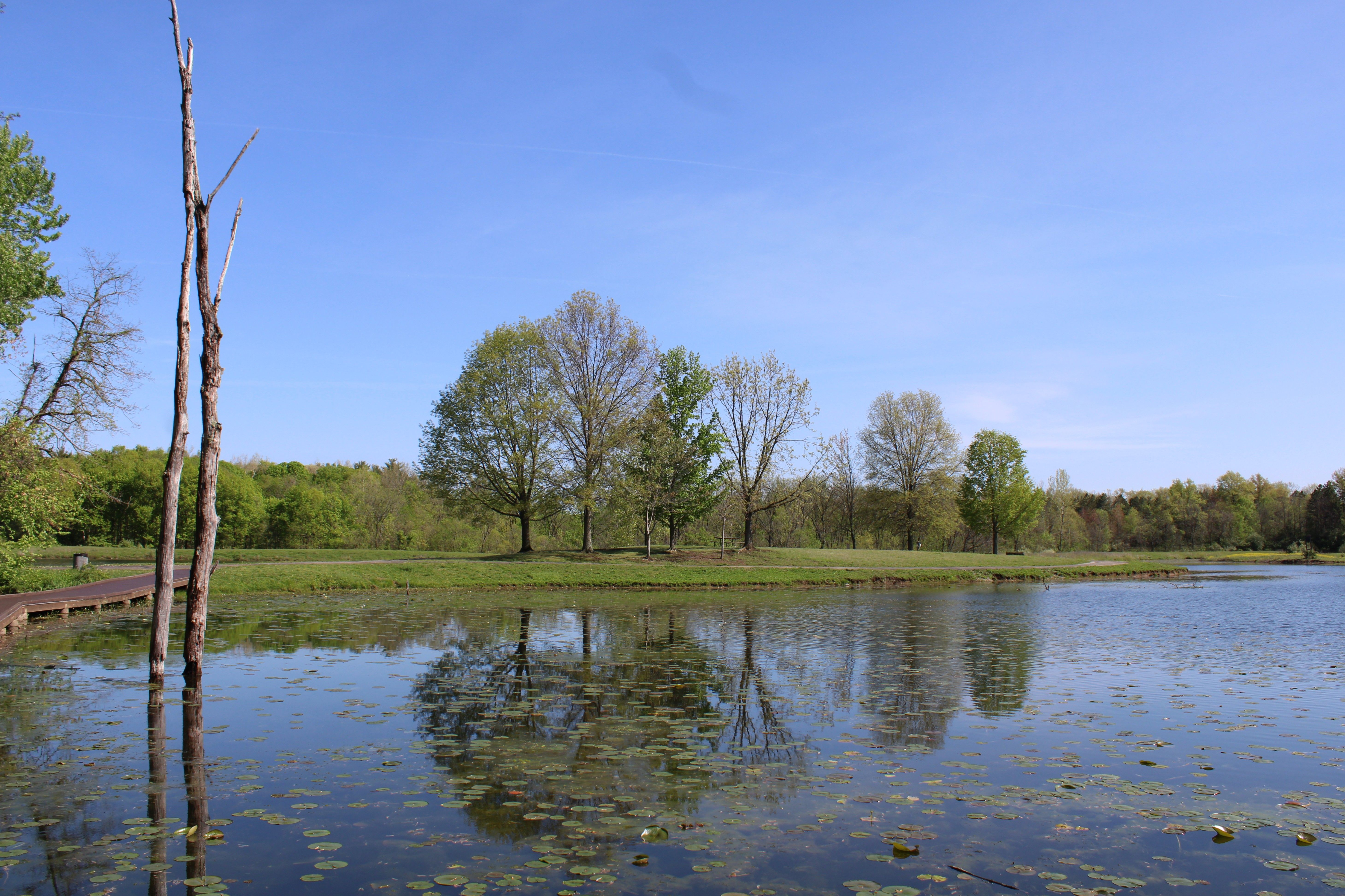 Serene Pond Landscape in Canal Winchester, Ohio · Free Stock Photo
