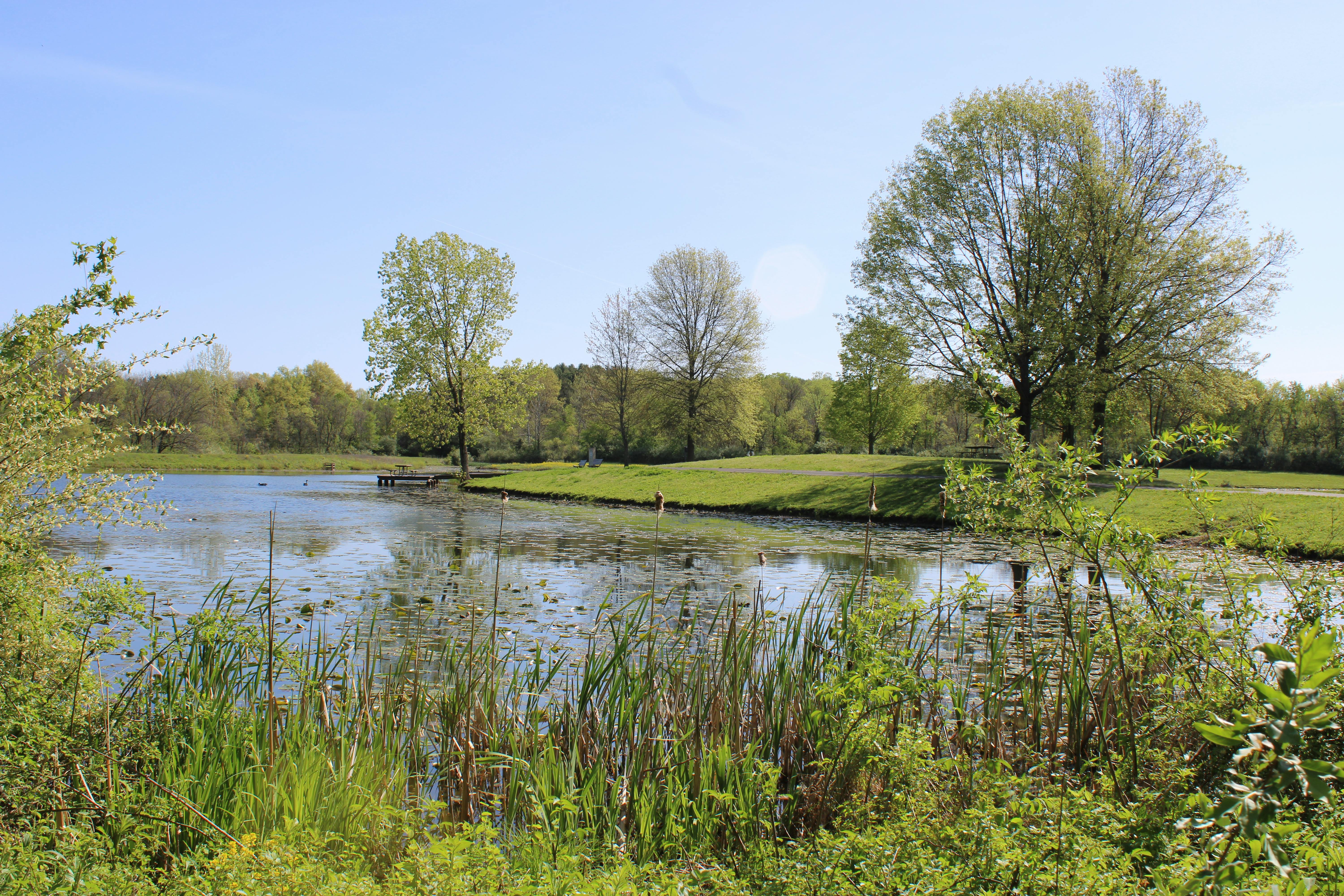Tranquil Pond Scene in Canal Winchester, Ohio · Free Stock Photo