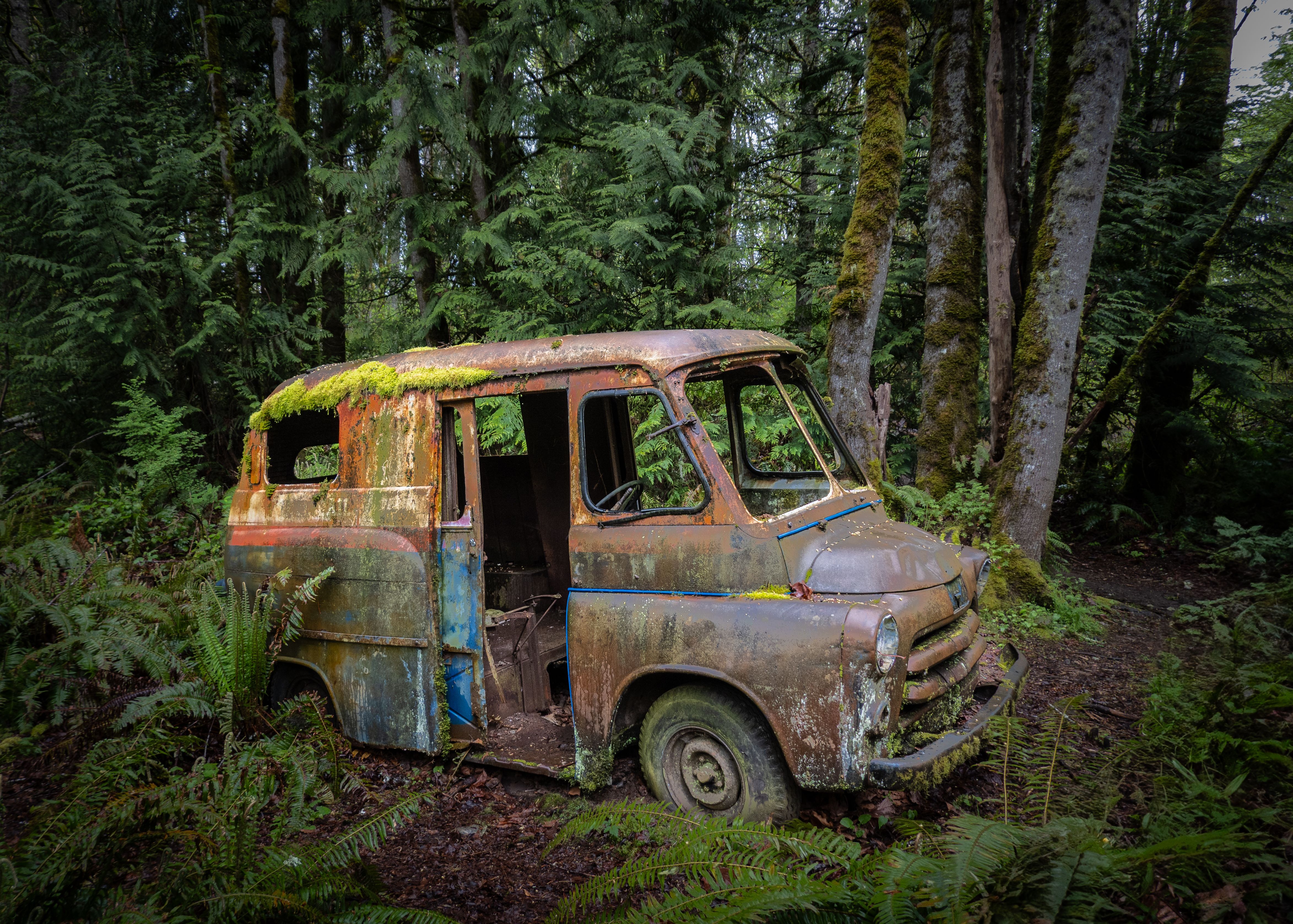 Old Car Parked Near Tree · Free Stock Photo