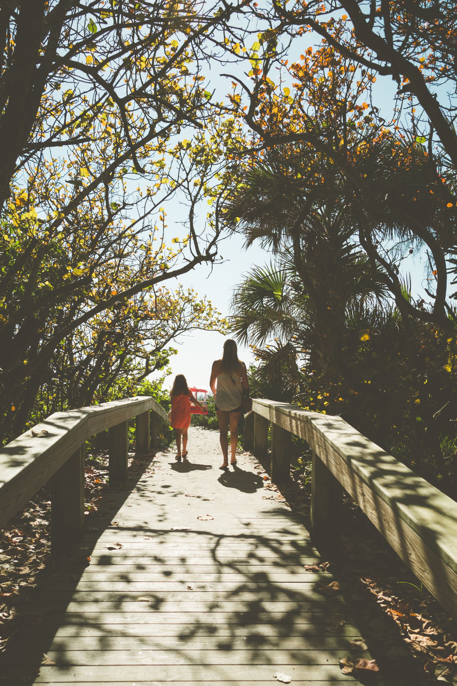 Nature Walk Photos, Download The BEST Free Nature Walk Stock Photos ...