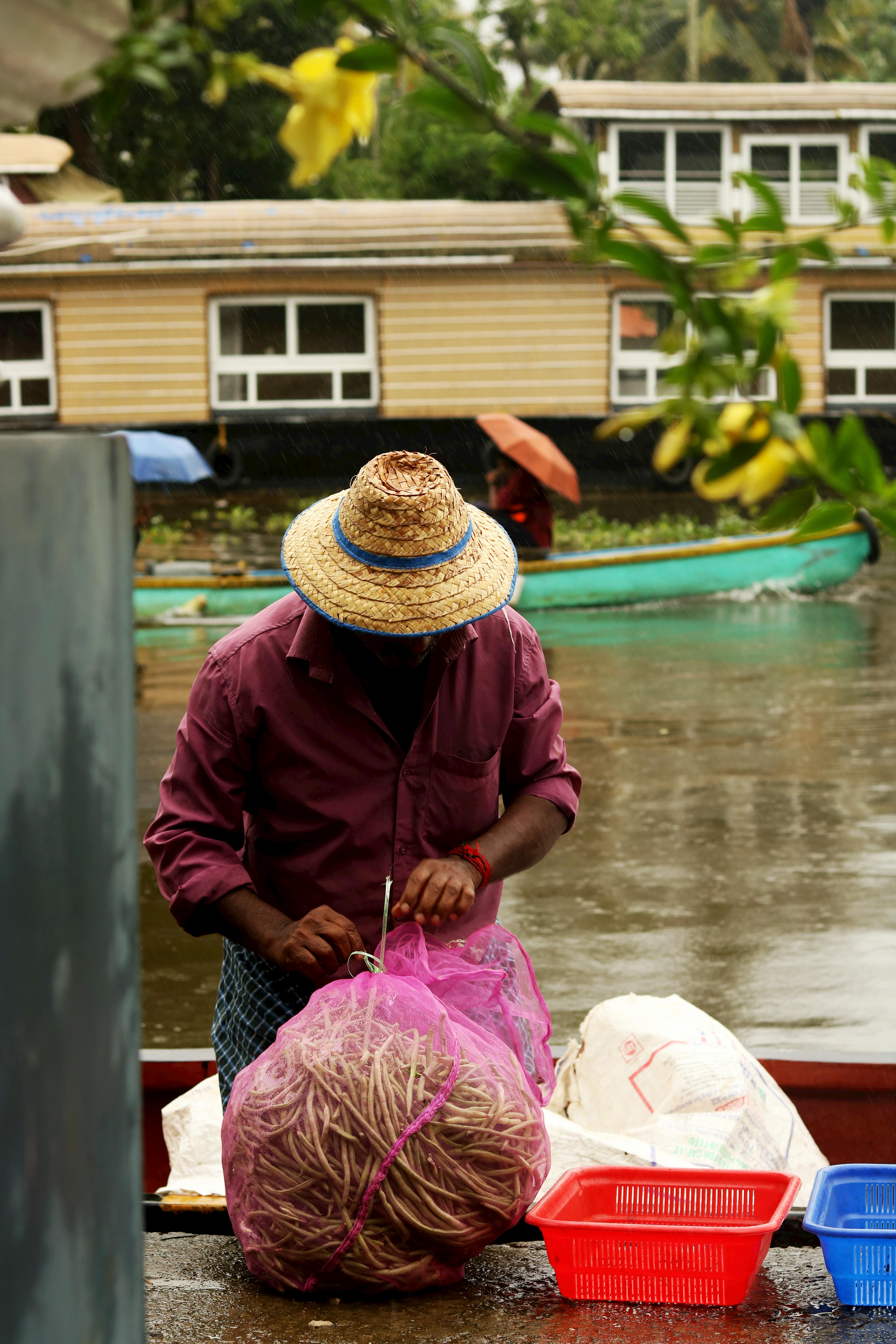 Indian Upi Photos, Download The BEST Free Indian Upi Stock Photos & HD ...