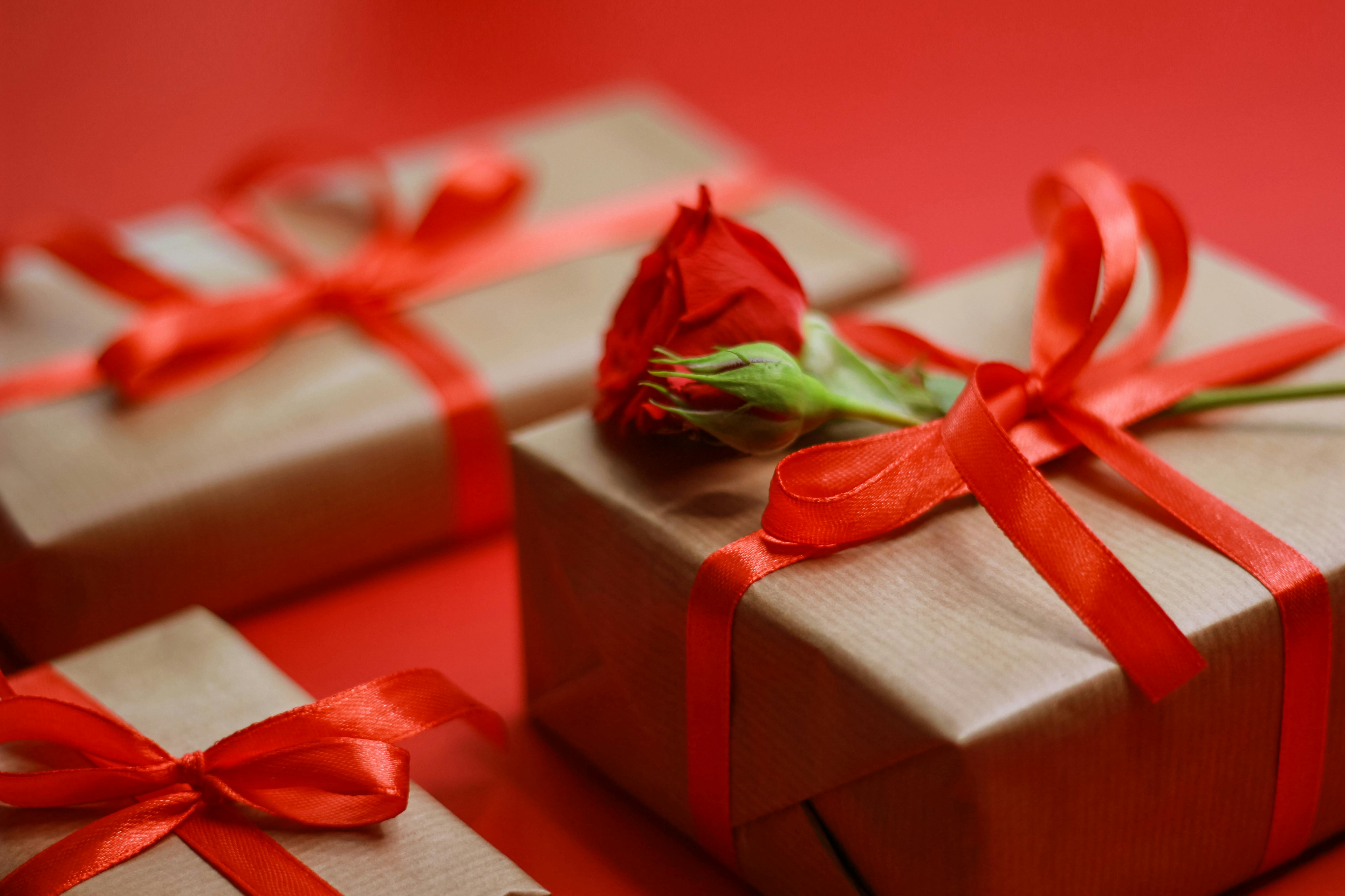 Gulab Flower Photos, Download The BEST Free Gulab Flower Stock Photos ...