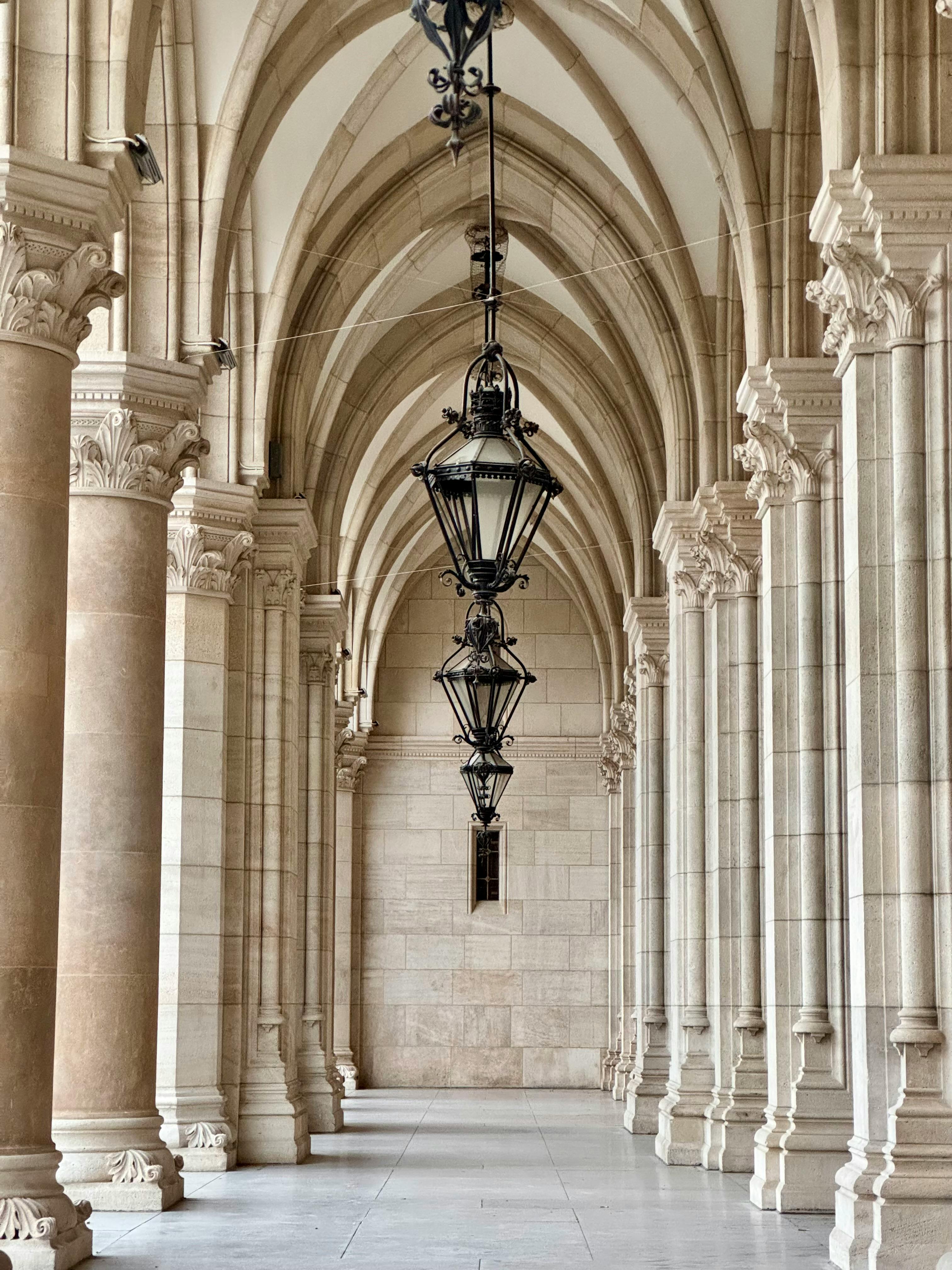 Stunning Neo-Gothic Architecture in Vienna's Iconic Rathaus · Free ...