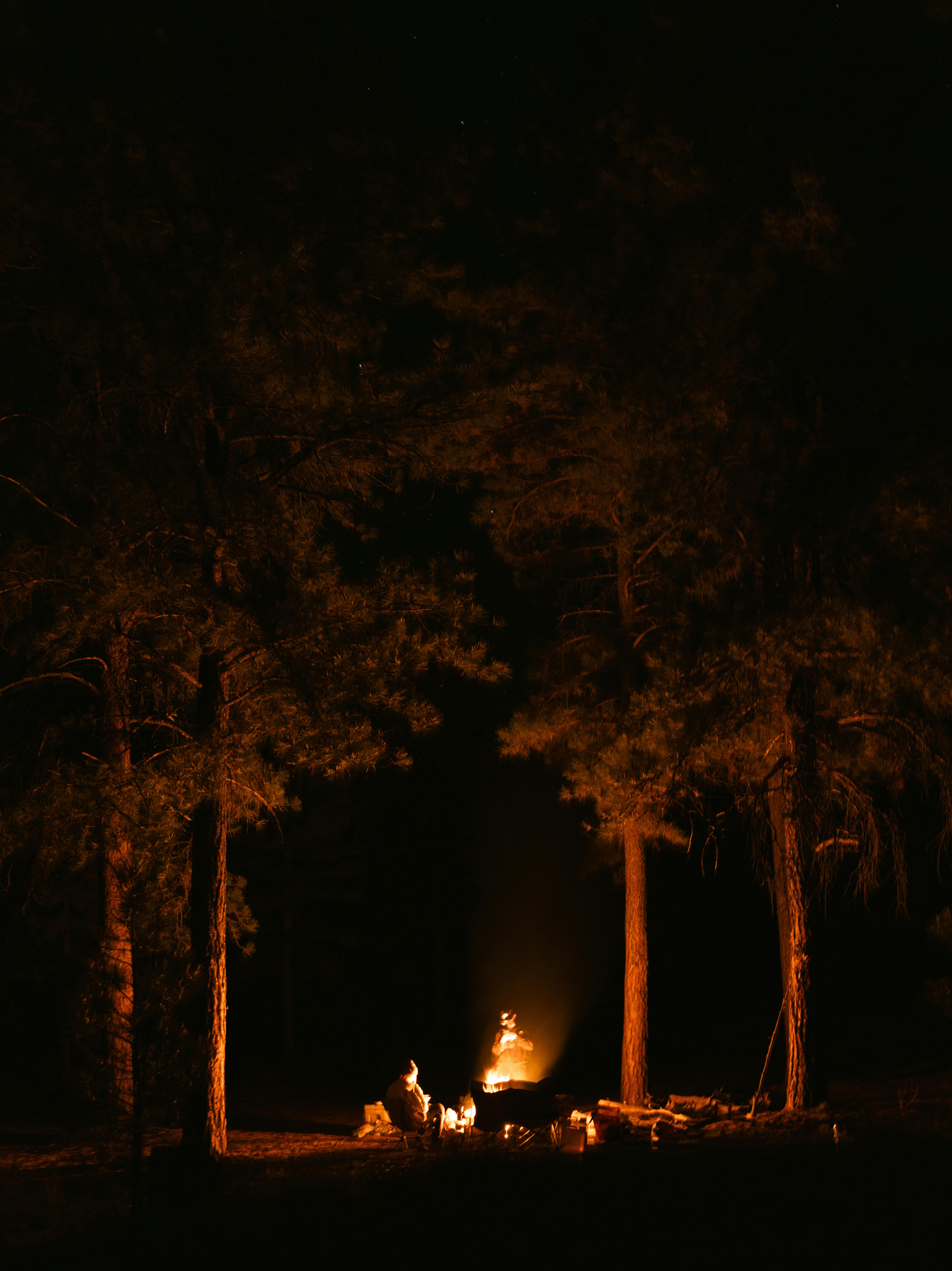 Night Sky Pfp Photos, Download The BEST Free Night Sky Pfp Stock Photos ...