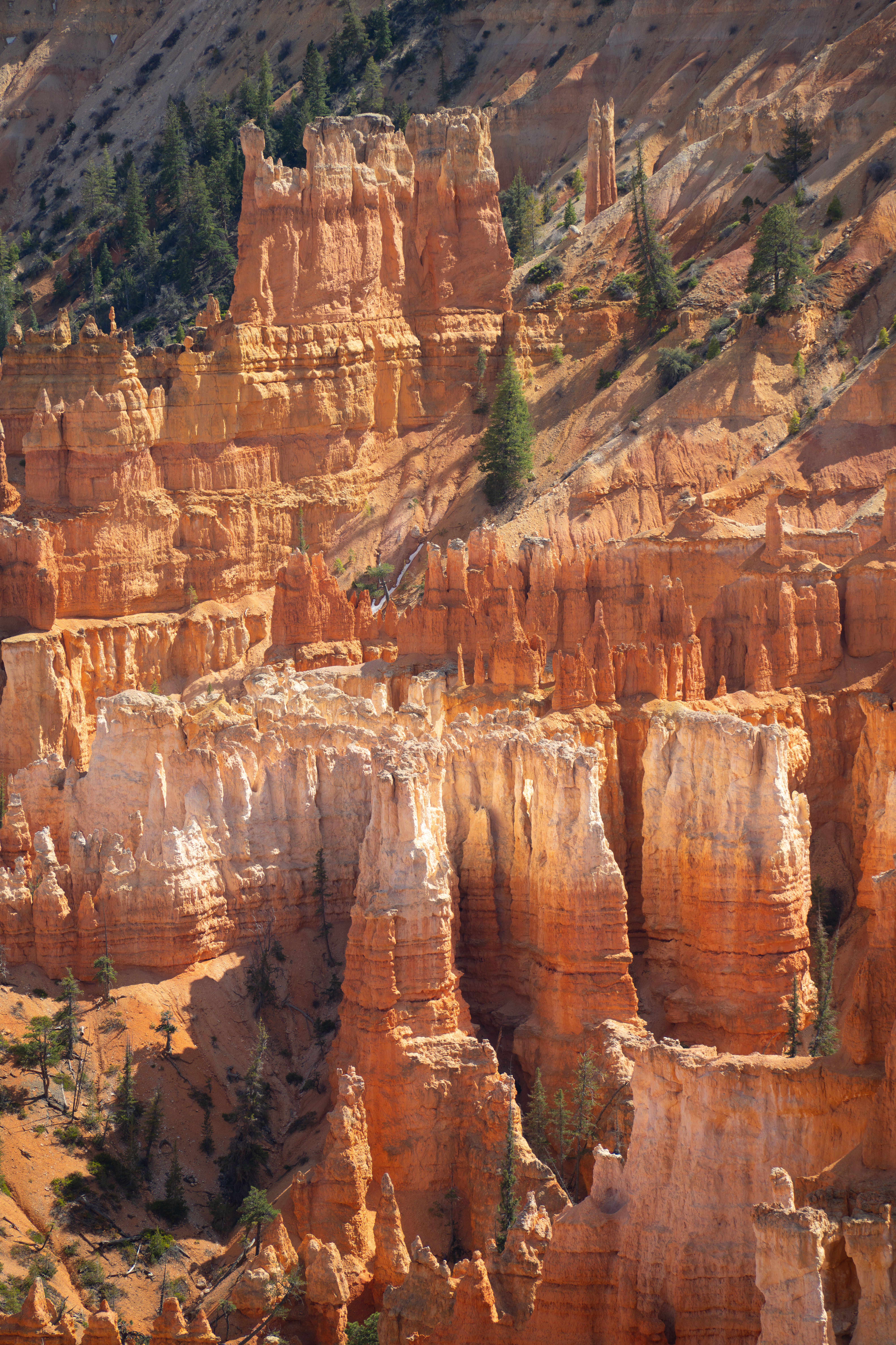 Stunning Hoodoos at Bryce Canyon National Park · Free Stock Photo