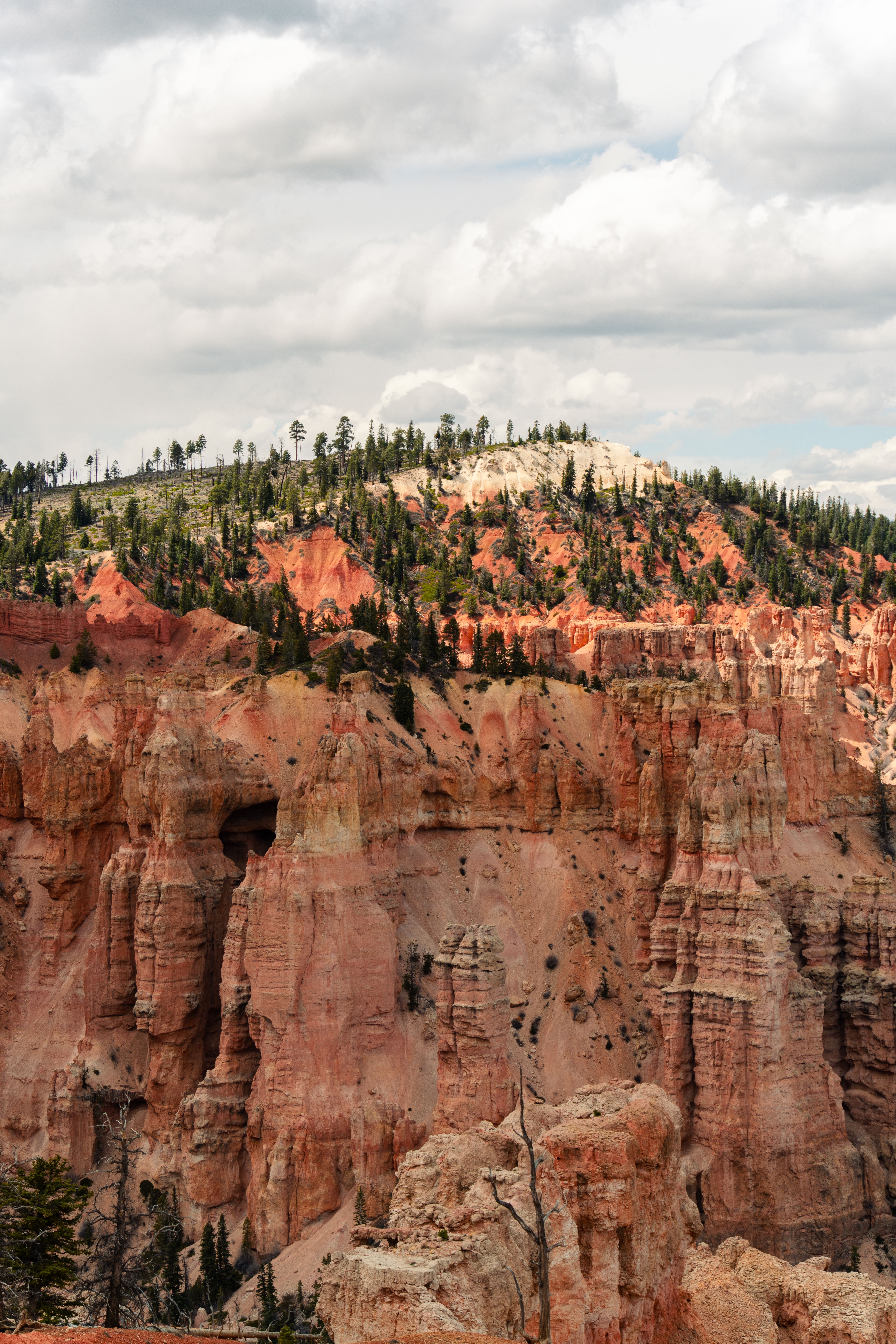 Stunning Bryce Canyon Landscape in Utah · Free Stock Photo