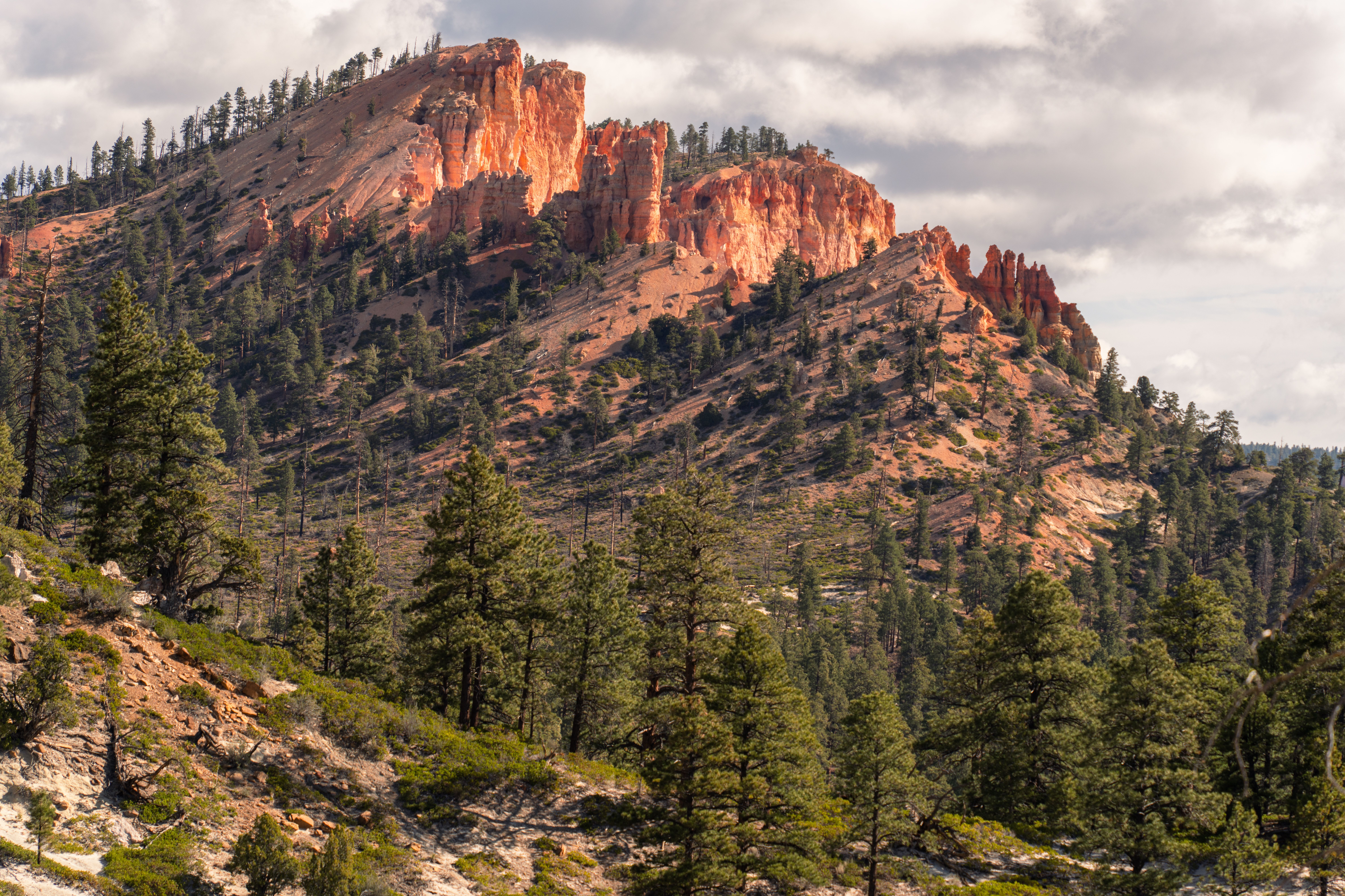 Majestic Bryce Canyon Landscape with Red Rock Formations · Free Stock Photo