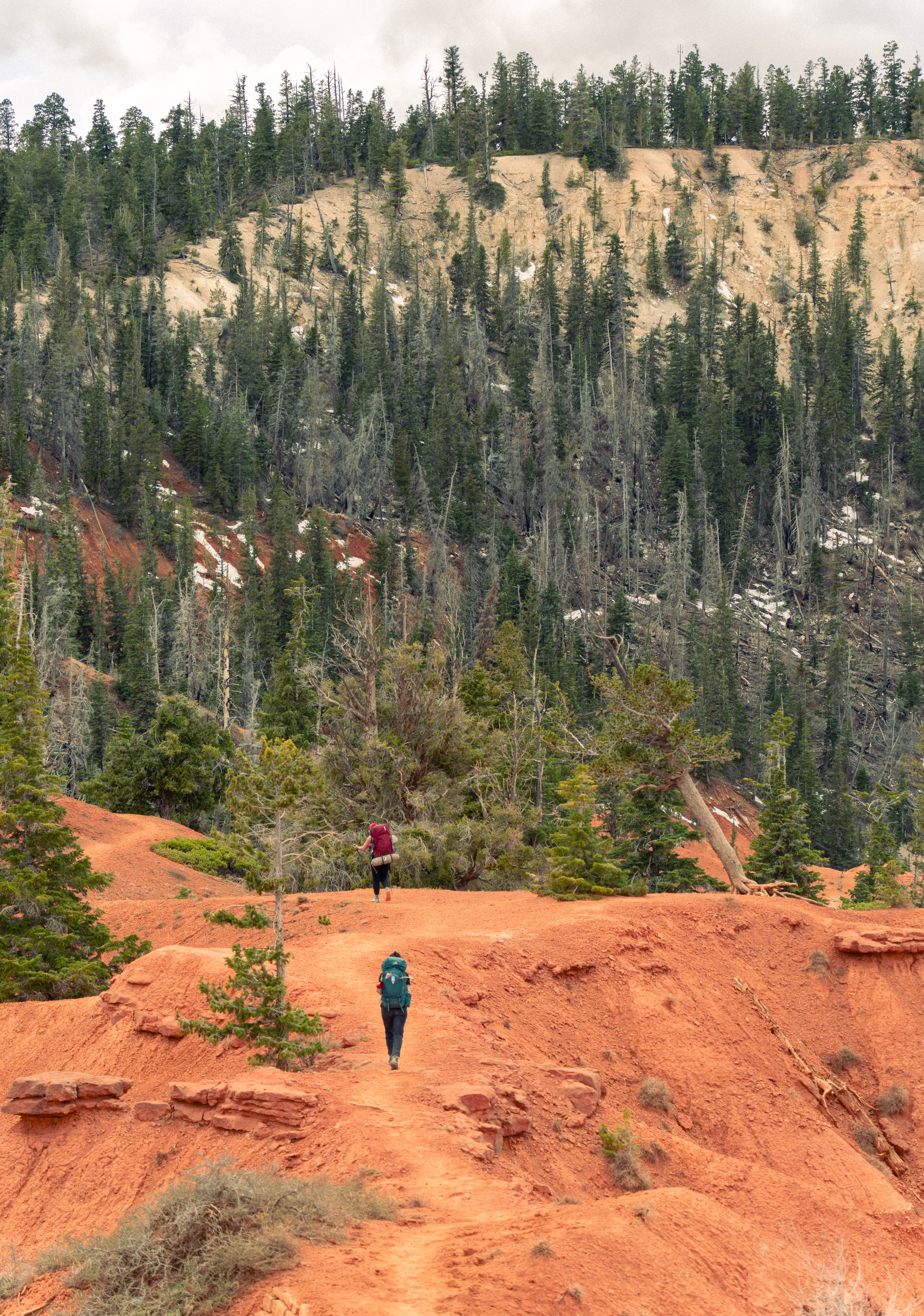 Hikers Exploring Red Rock Canyon in Utah · Free Stock Photo