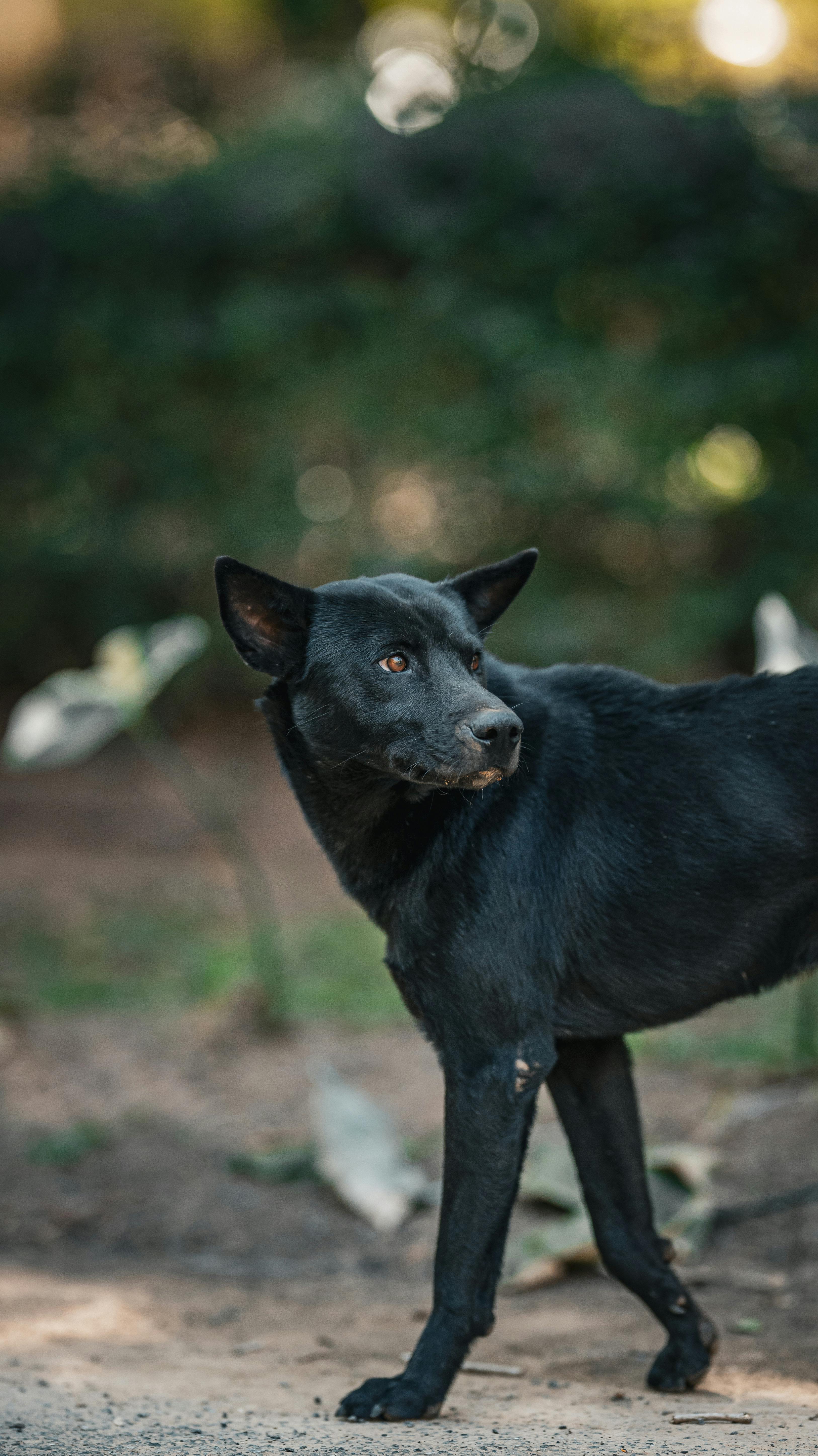 Introduction Images Photos, Download The BEST Free Introduction Images ...