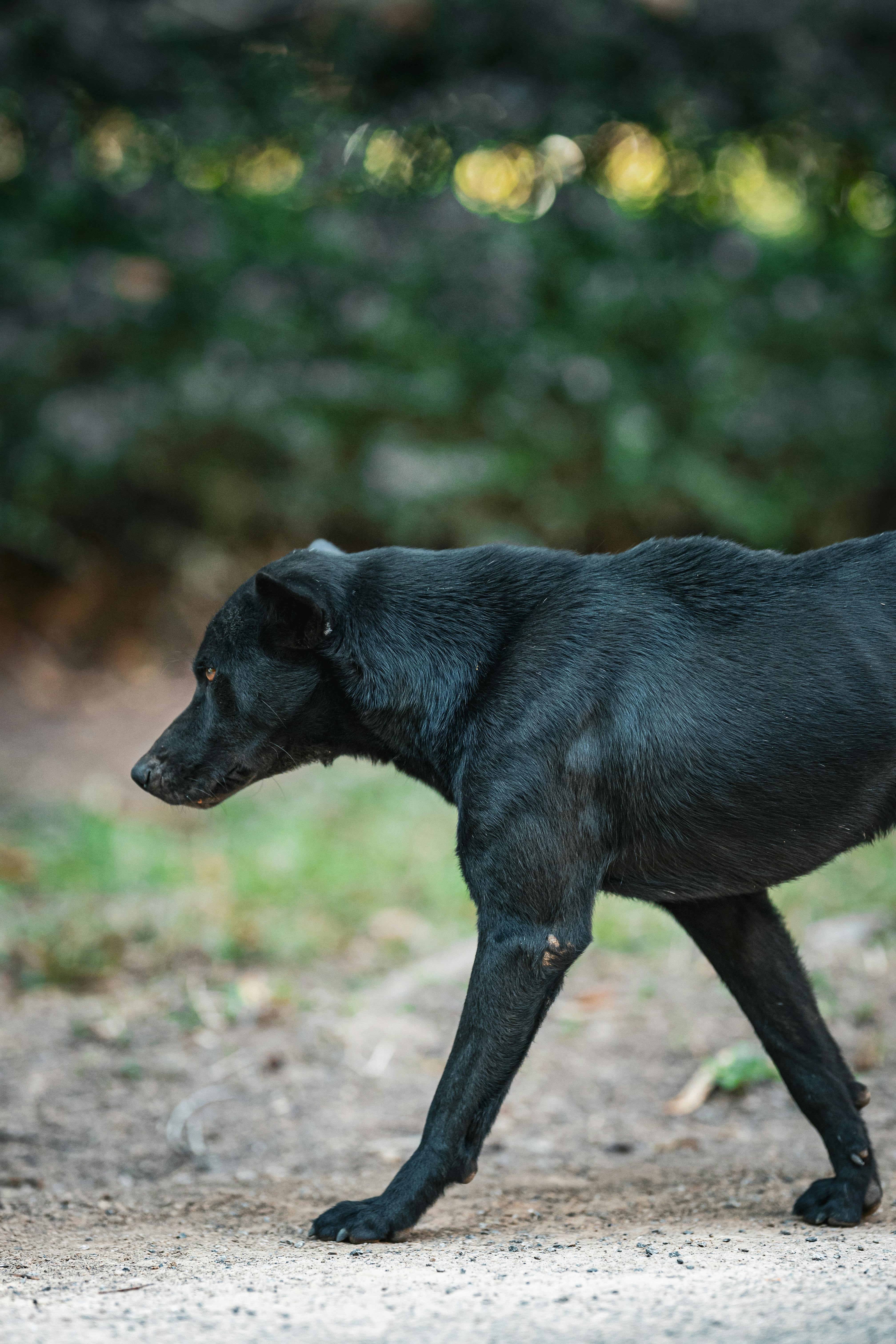 Tuff Backgrounds Photos, Download The BEST Free Tuff Backgrounds Stock ...