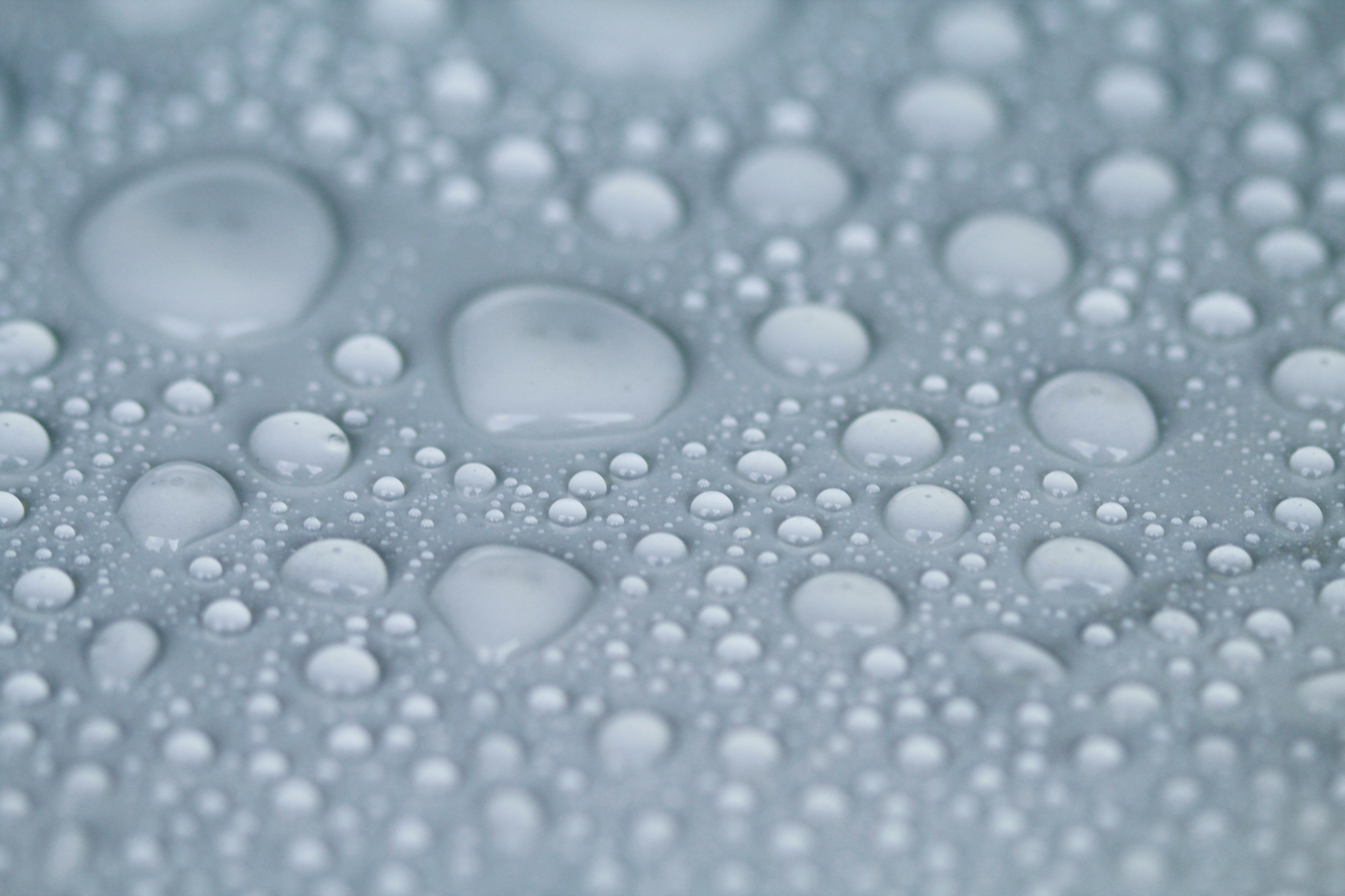 Blue Board With Water Dew Closeup Photography · Free Stock Photo