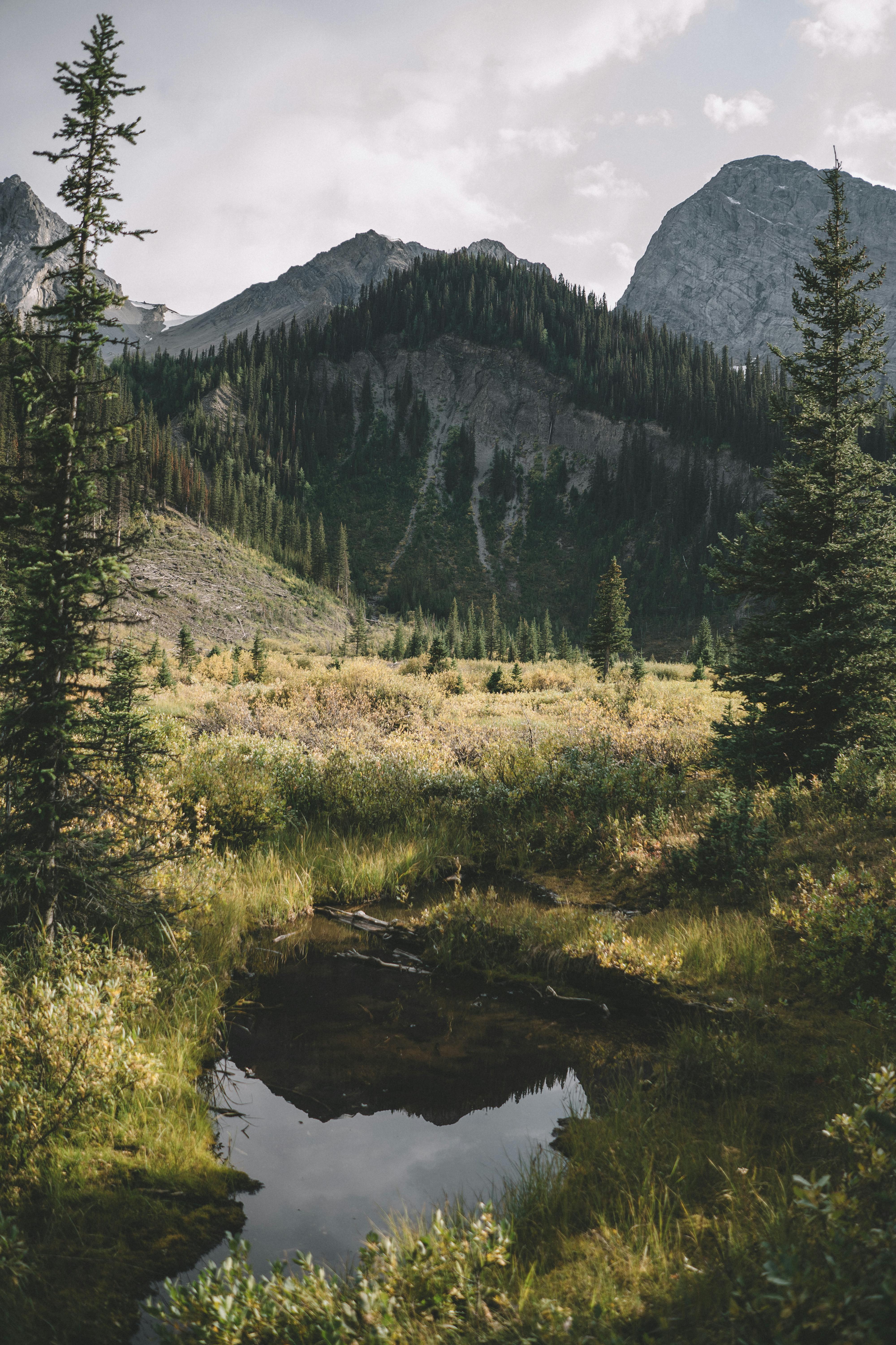 4k Trading Wallpapers Photos, Download The BEST Free 4k Trading ...