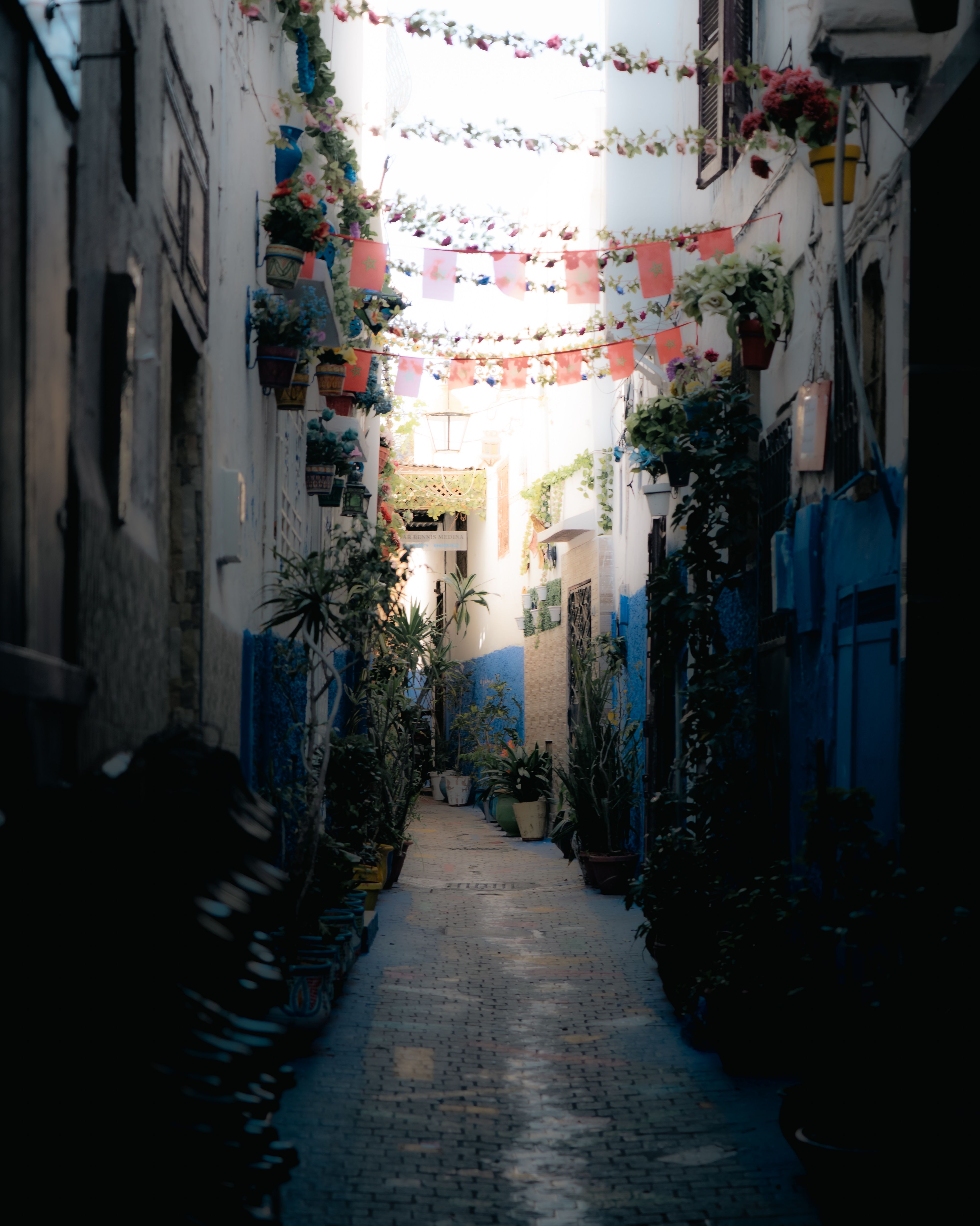 Charming Alleyway with Floral Decor · Free Stock Photo