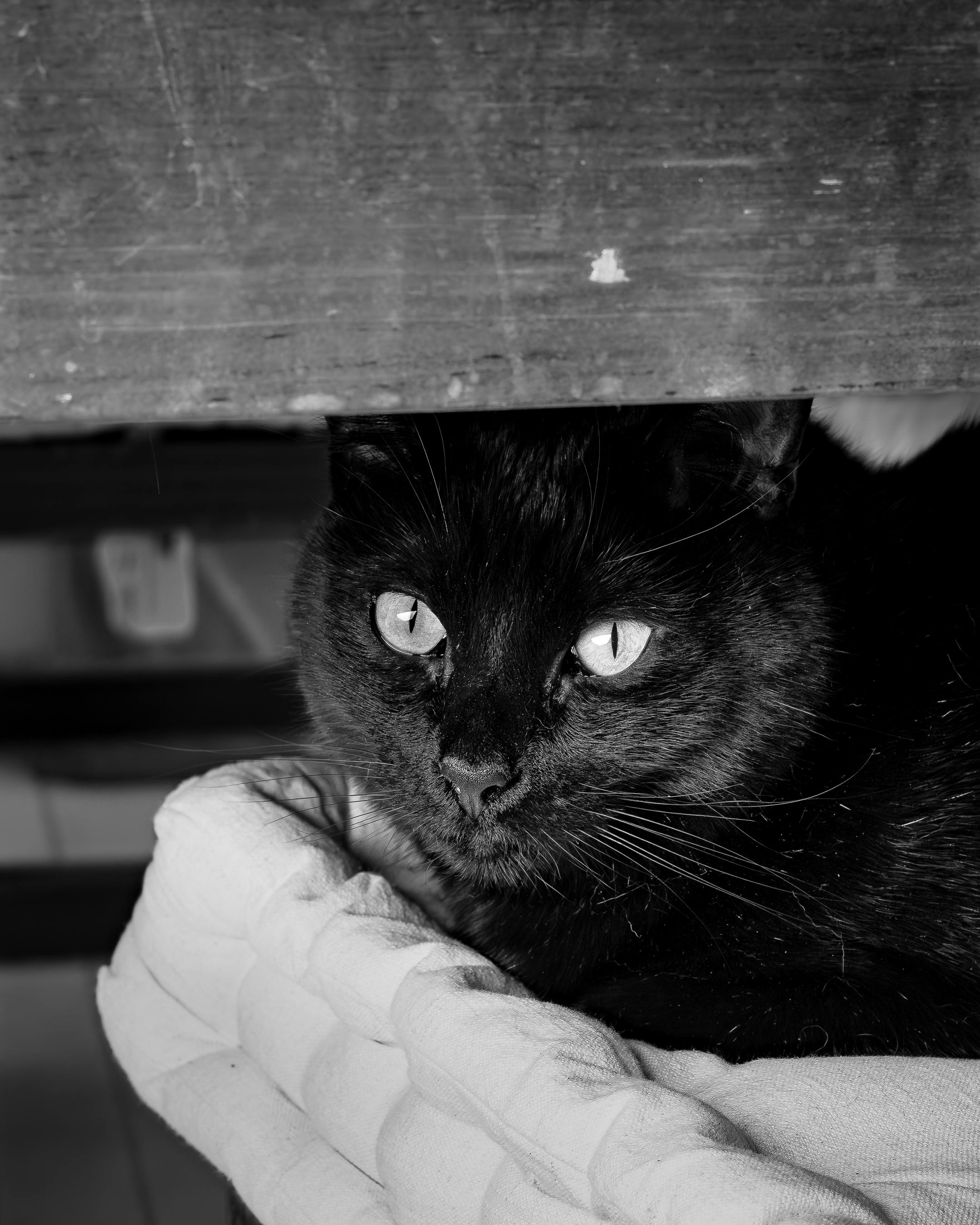 Content Photos, Download The BEST Free Content Stock Photos & HD Images