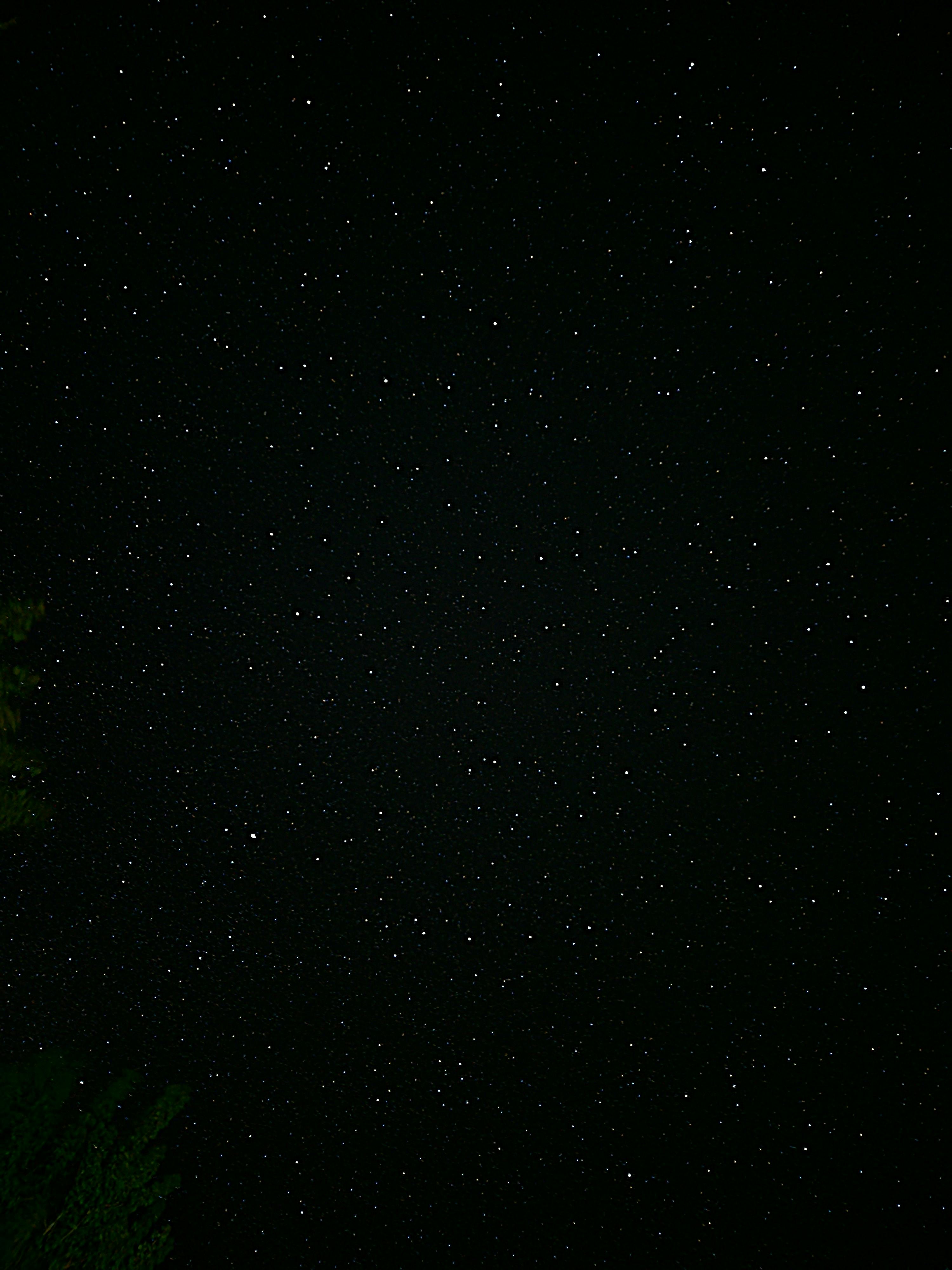 Night Sky Pfp Photos, Download The BEST Free Night Sky Pfp Stock Photos ...