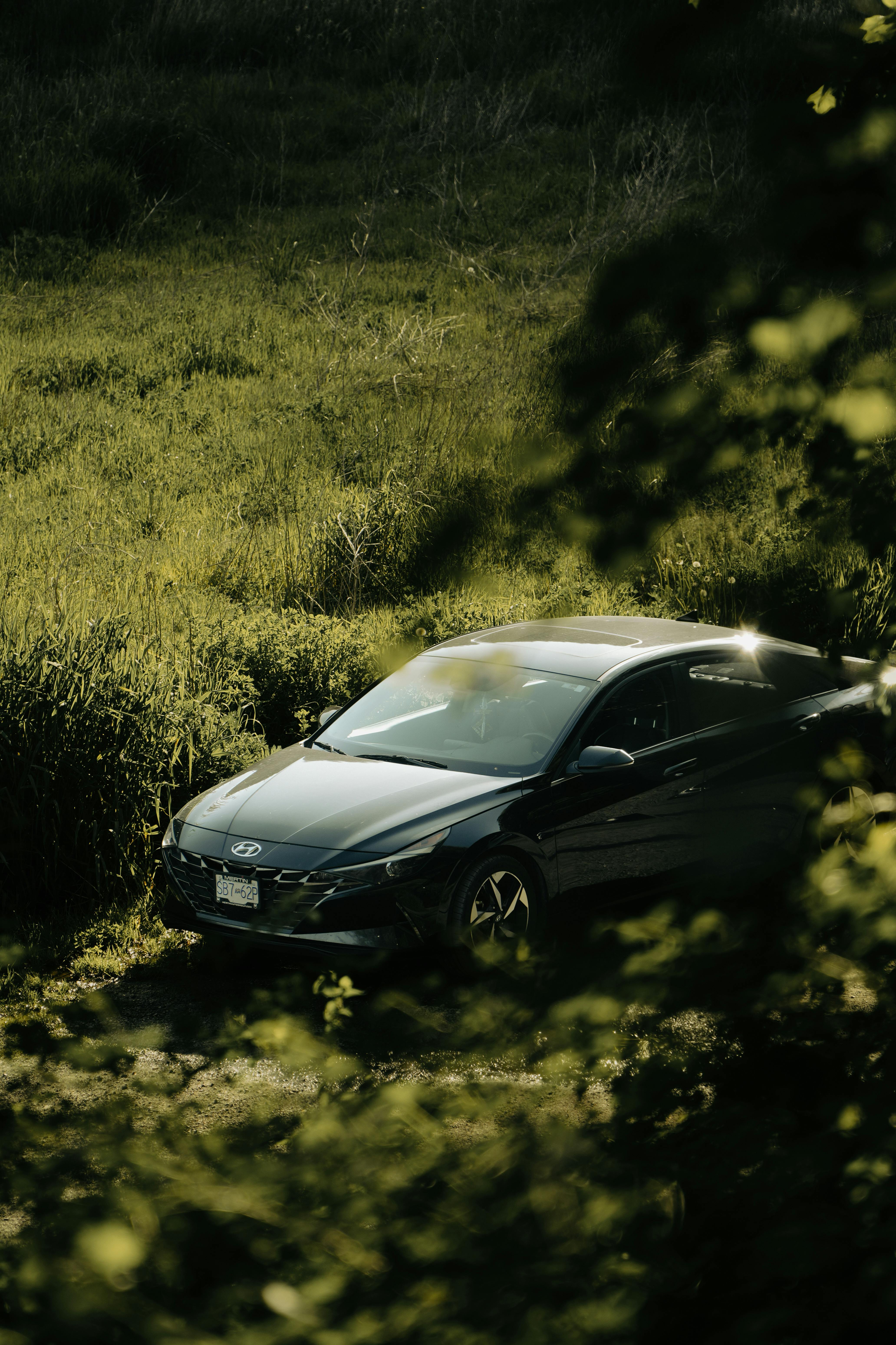 Lute Parked Photos, Download The BEST Free Lute Parked Stock Photos ...