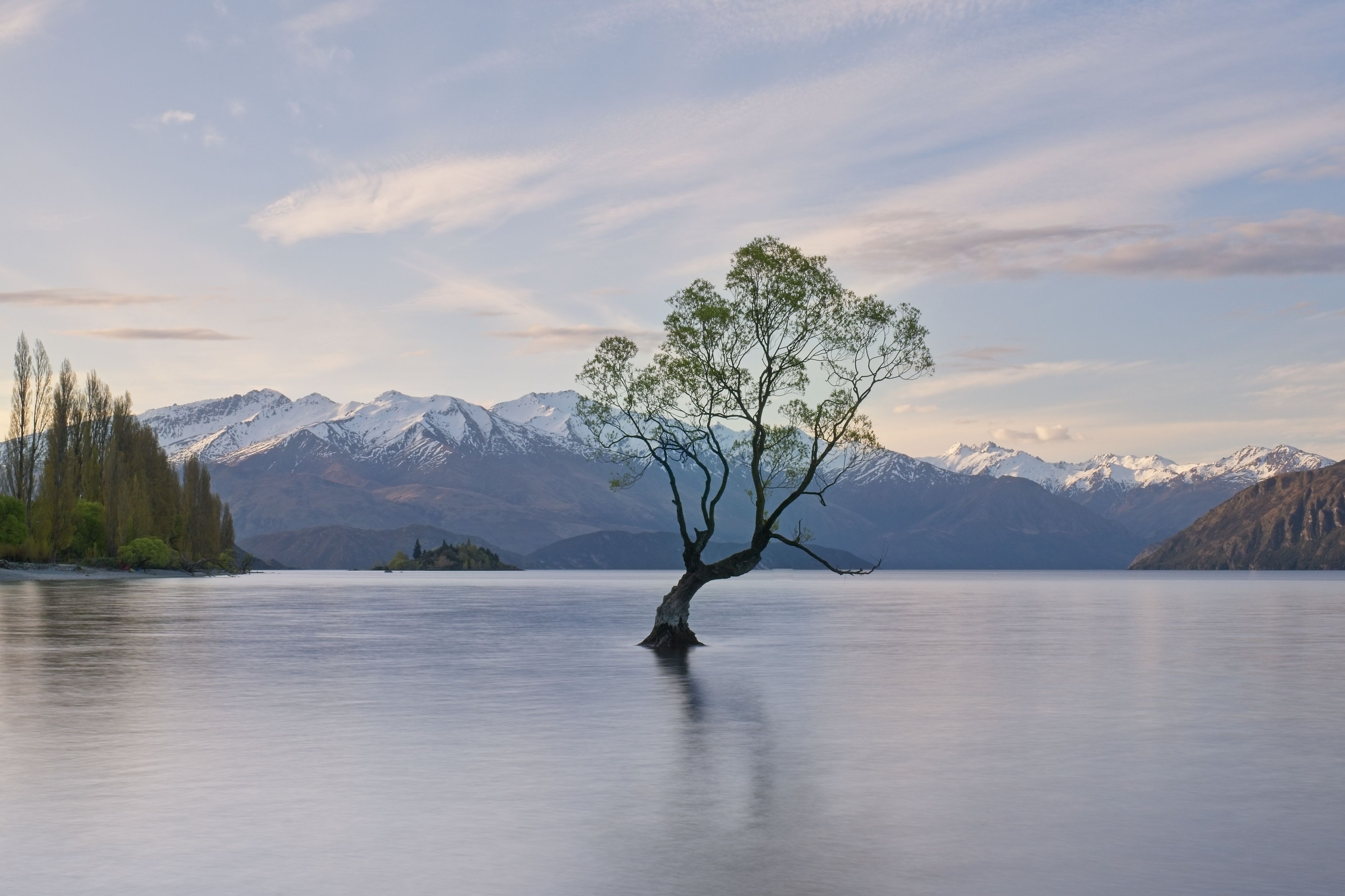 Stunning Wanaka Tree Landscape in Otago, NZ · Free Stock Photo