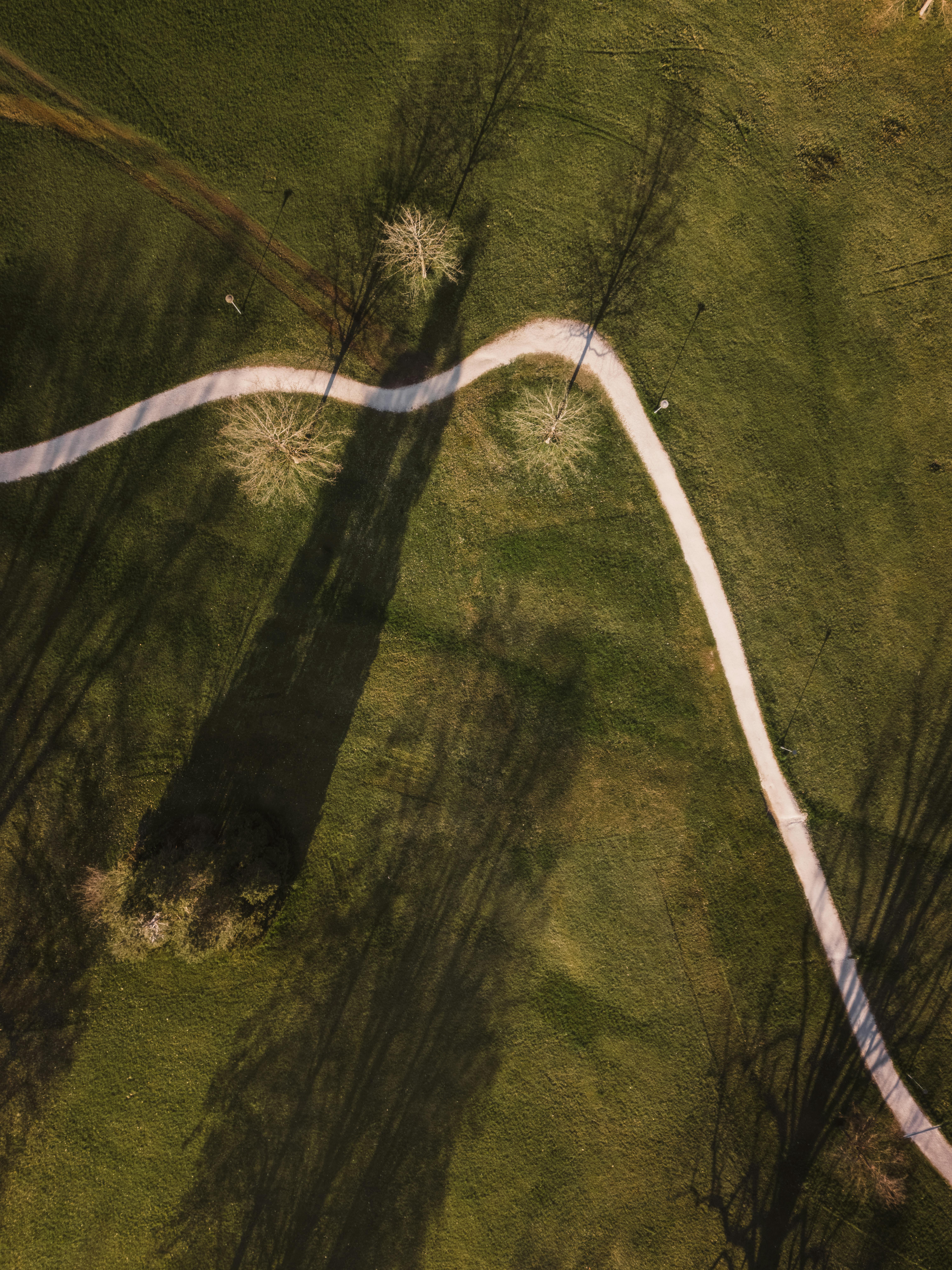 Chemin Sinueux Et Ombres · Photo gratuite