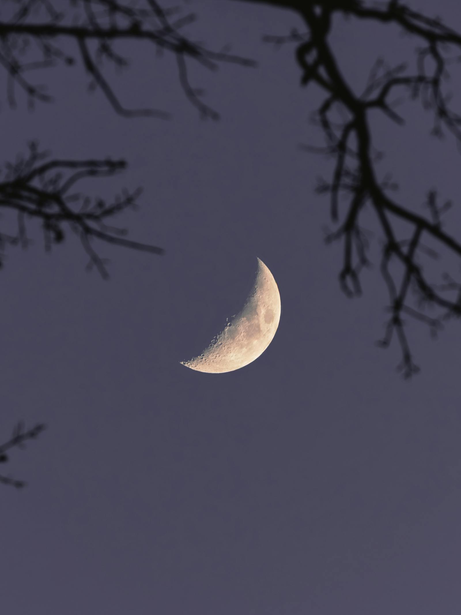 Night Sky Pfp Photos, Download The BEST Free Night Sky Pfp Stock Photos ...