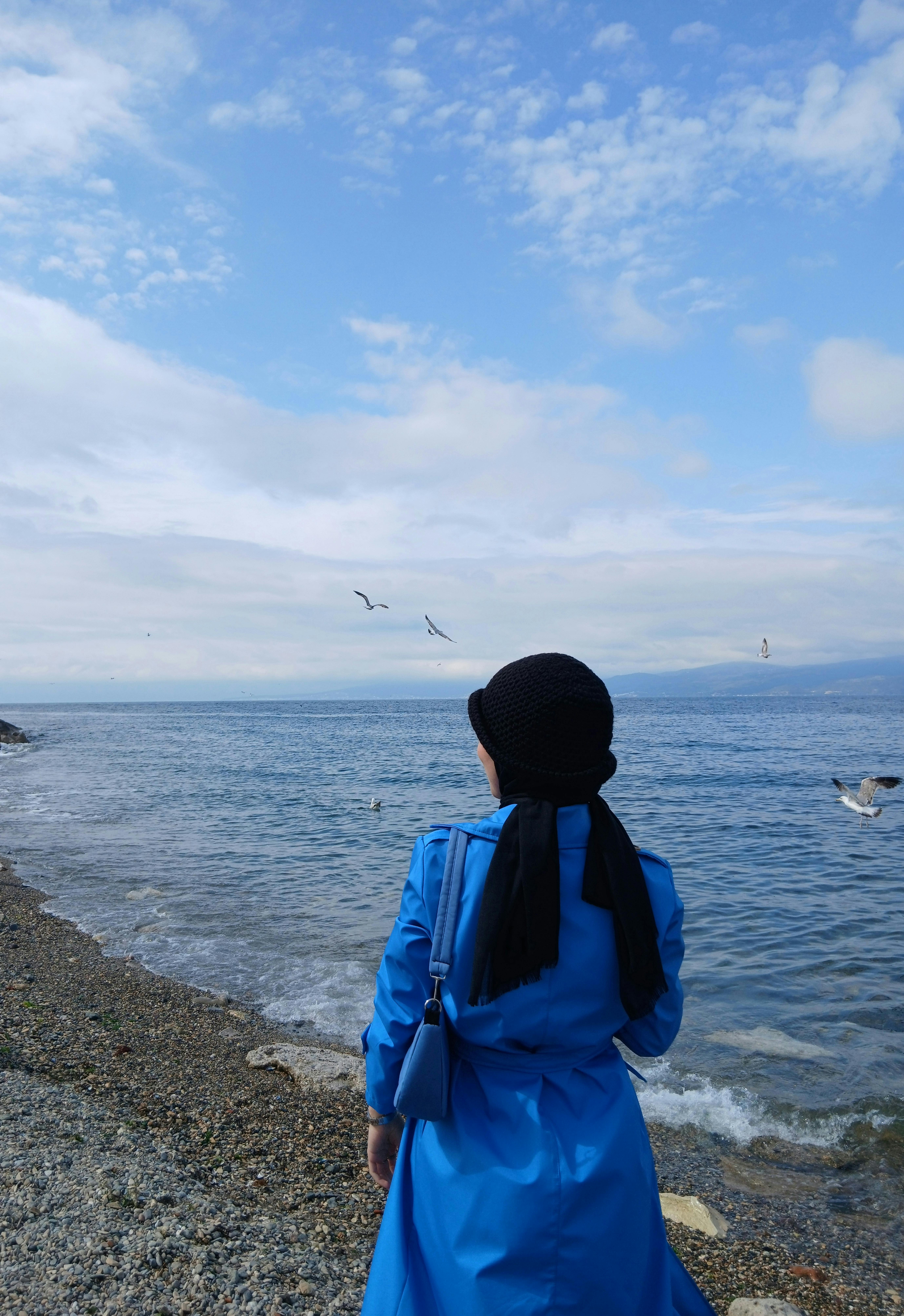 Woman in Blue Coat by the Seaside with Seagulls · Free Stock Photo
