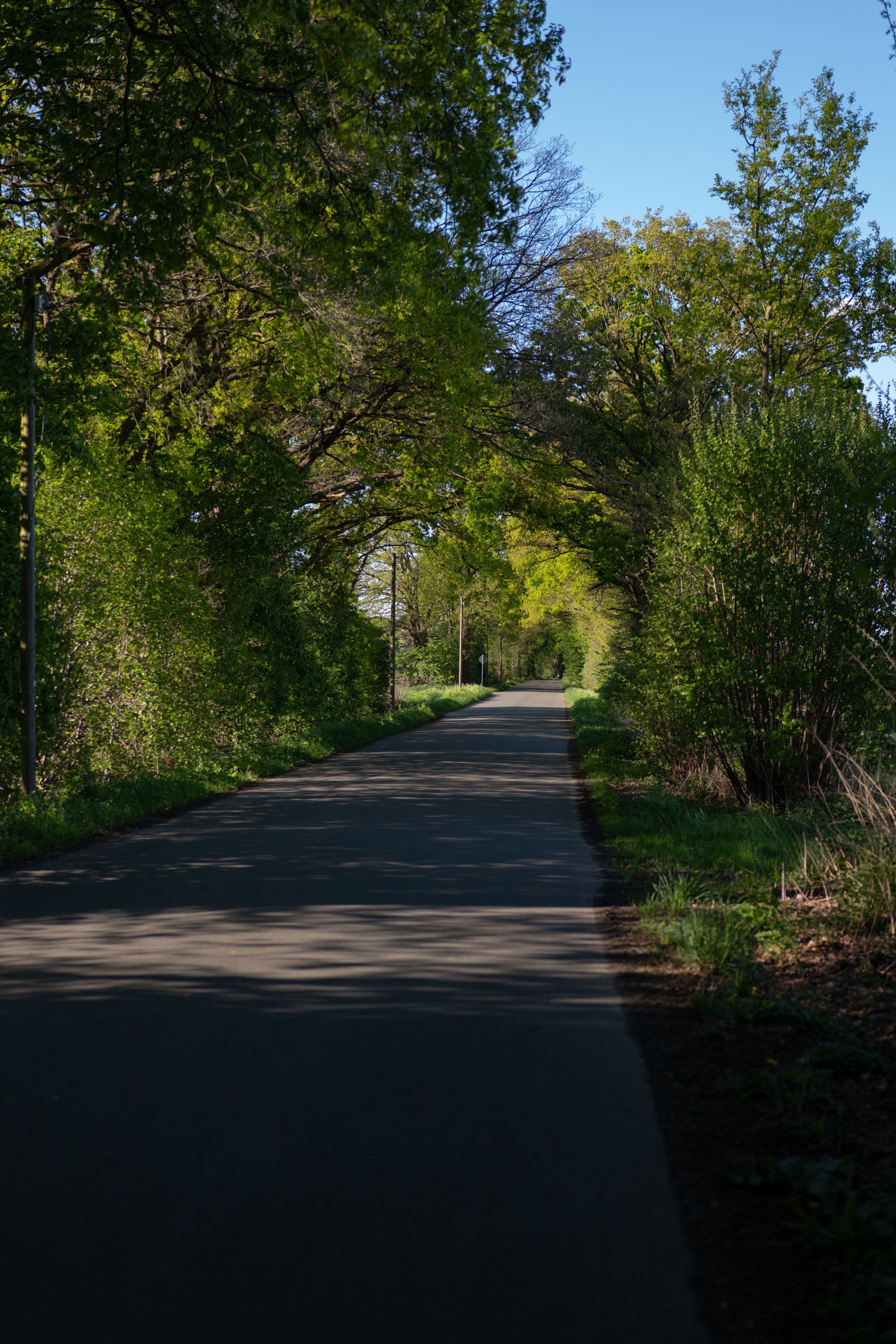 Nature Walk Photos, Download The BEST Free Nature Walk Stock Photos ...