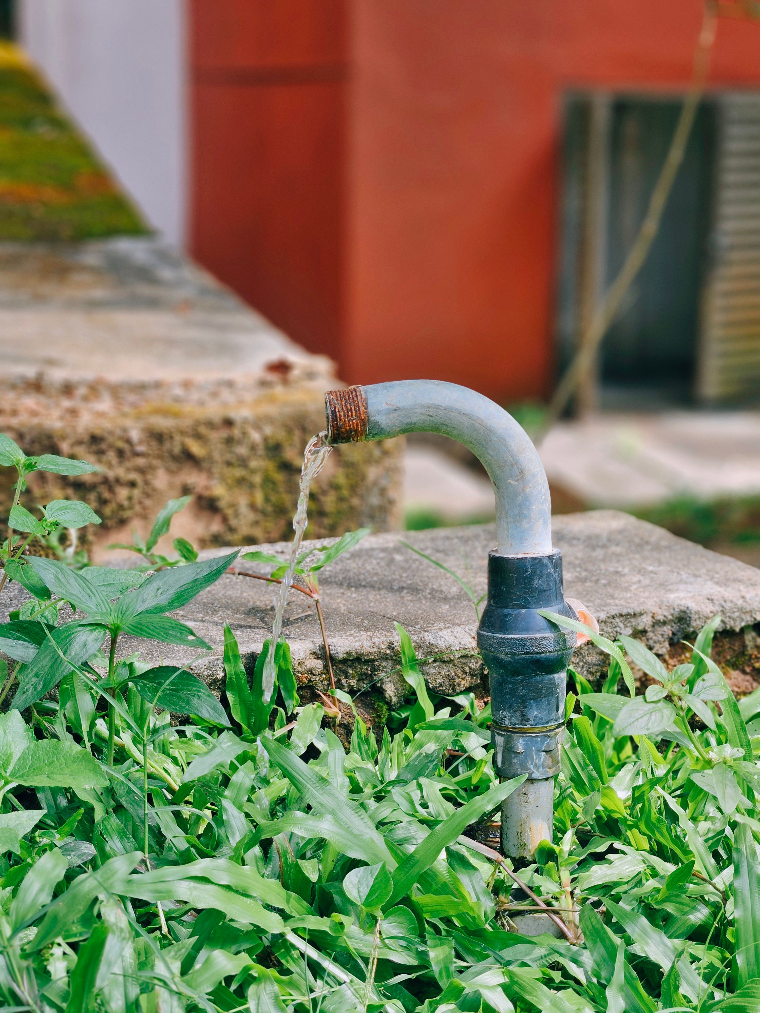 Flowing Water Pipe Amidst Greenery Outdoors · Free Stock Photo