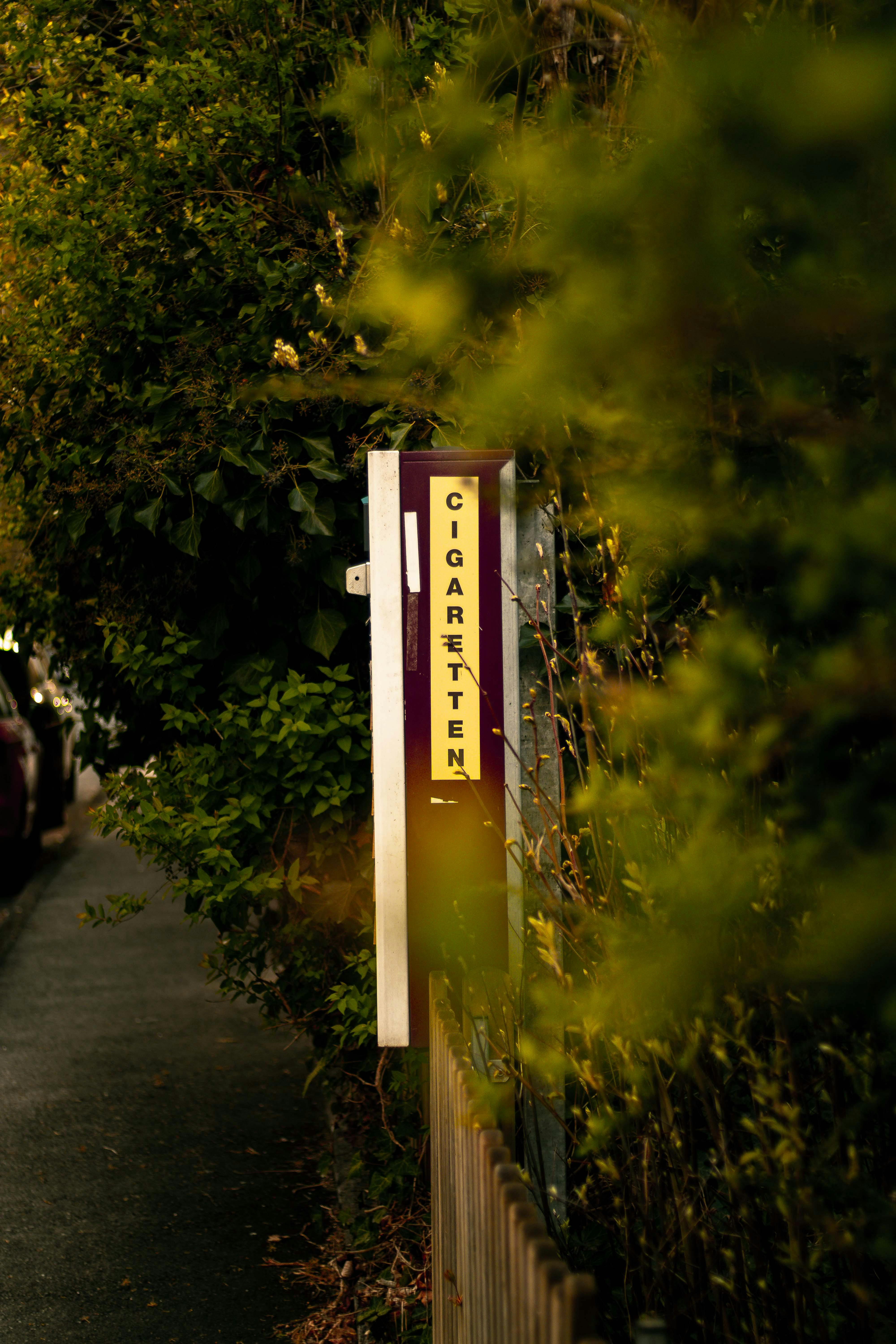 Urban Cigarette Sign Amidst Greenery · Free Stock Photo